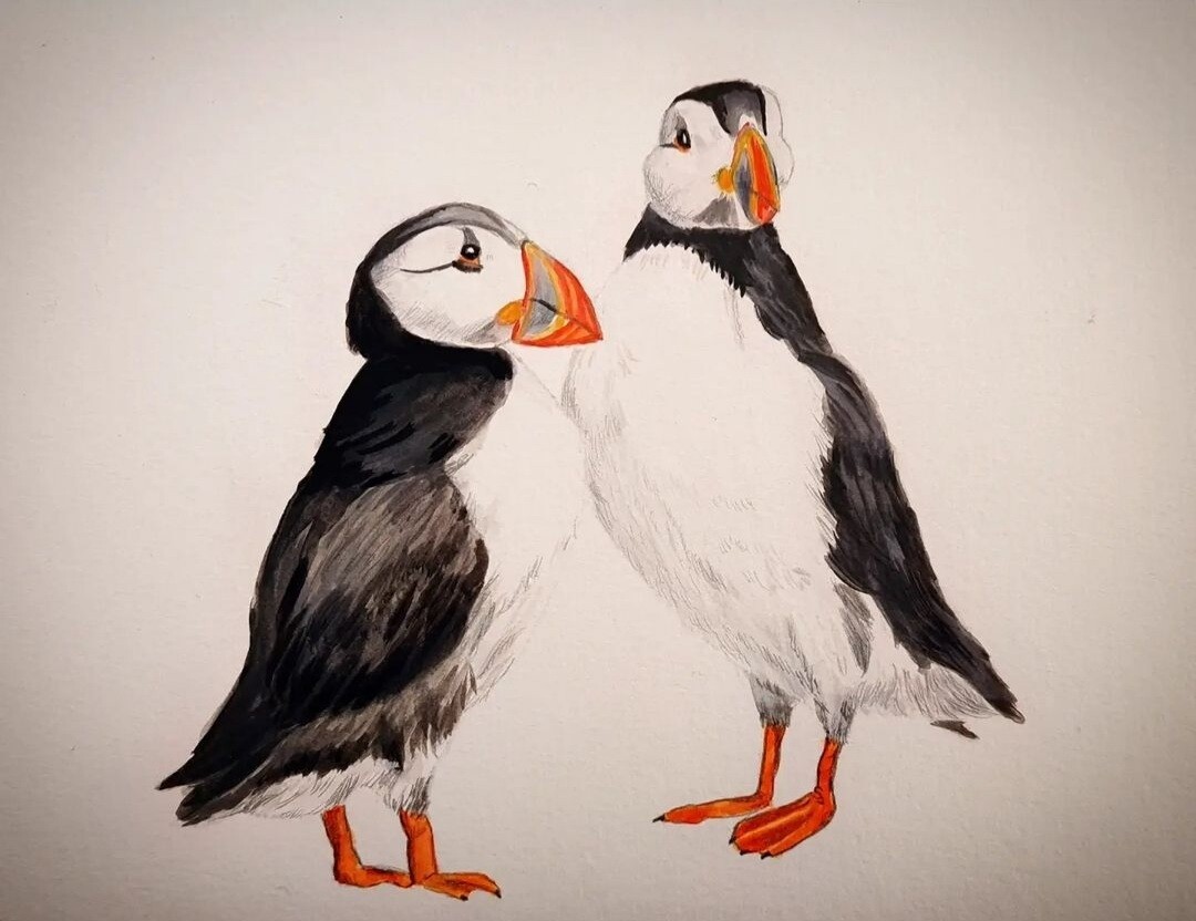 ArtStation - Puffins