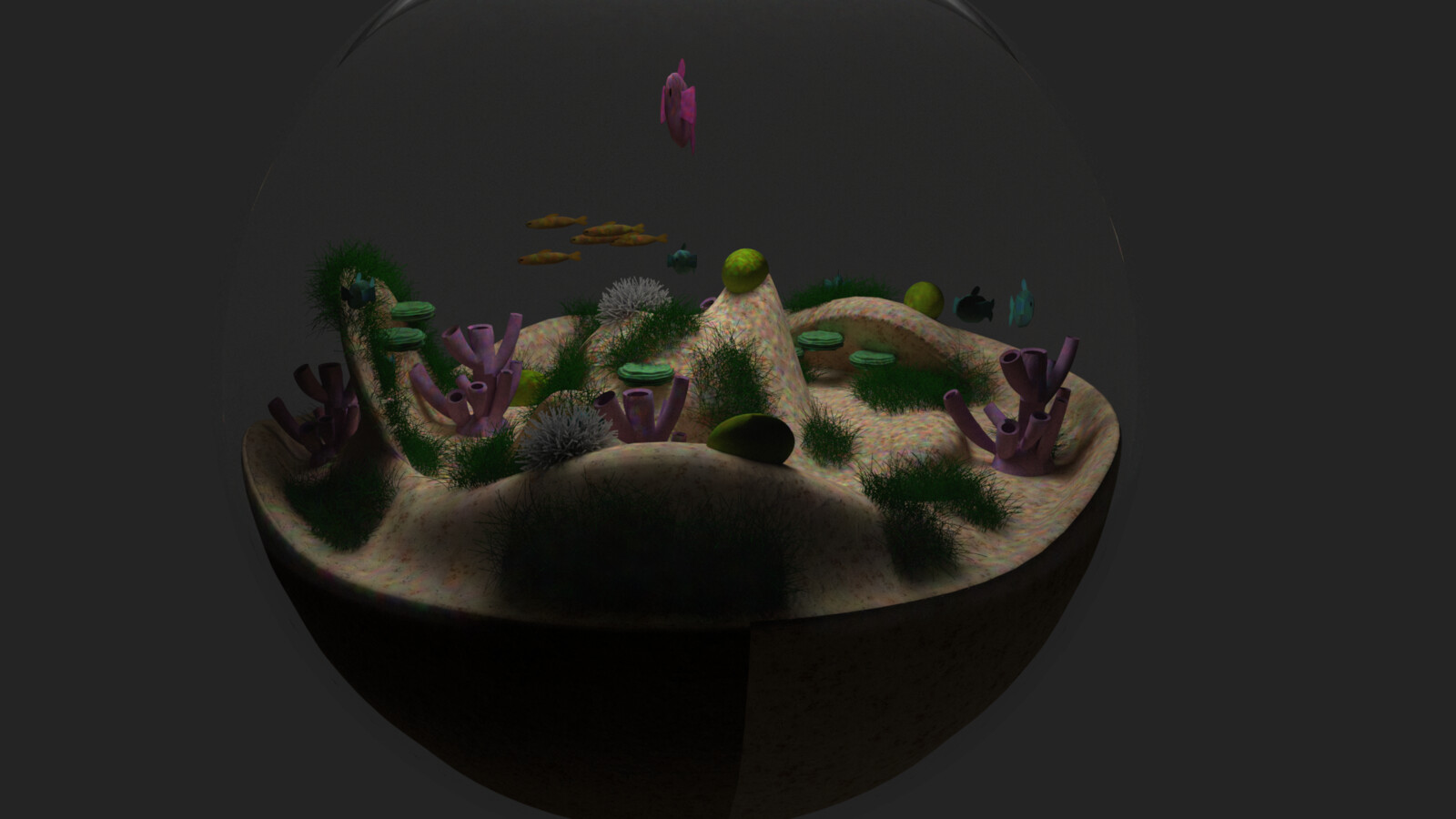 Alexander - Cartoonish Water EcoSphere