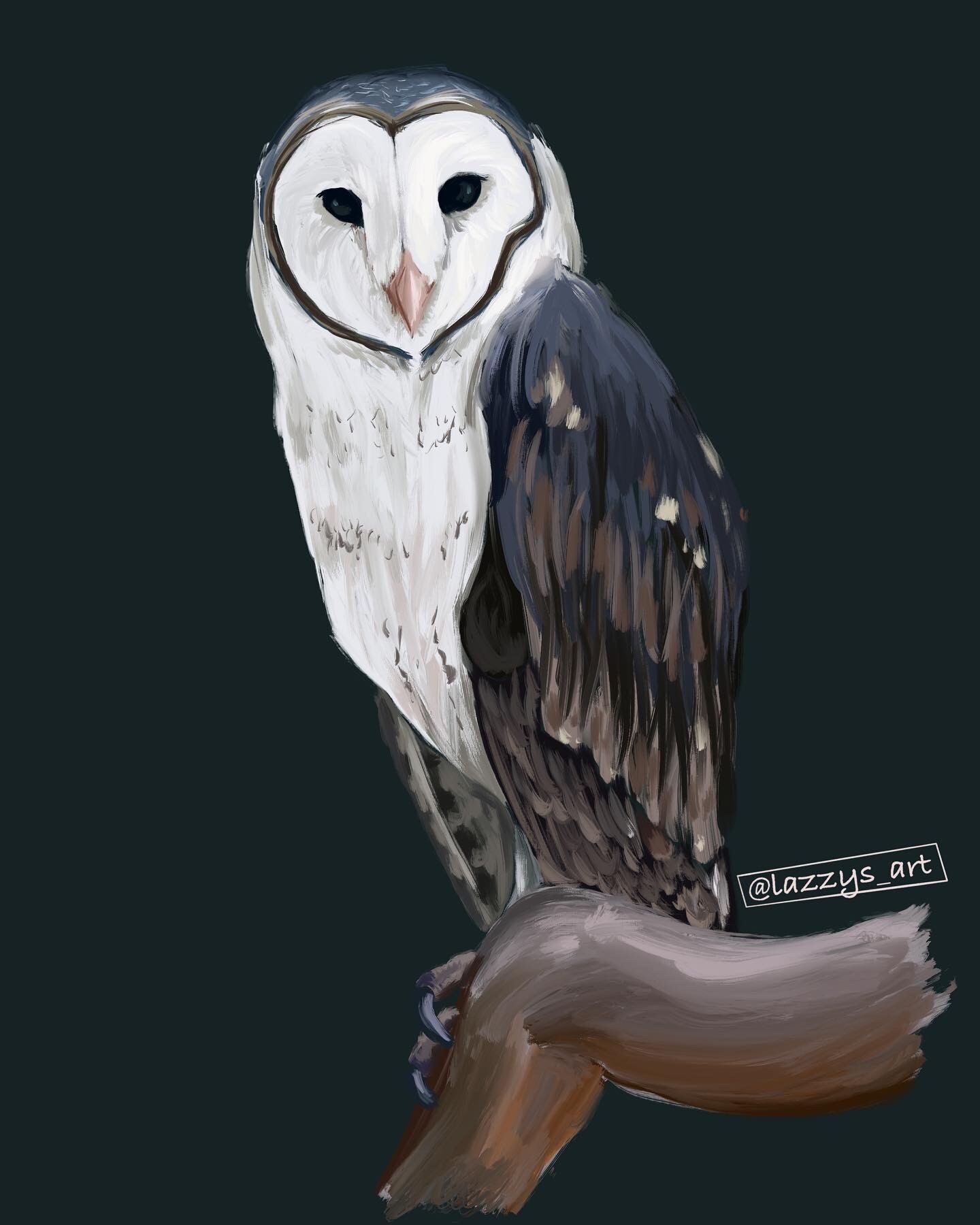 ArtStation - Owl Illustration