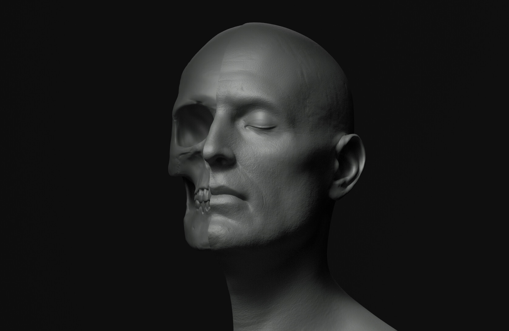 ArtStation - Head Ecorche