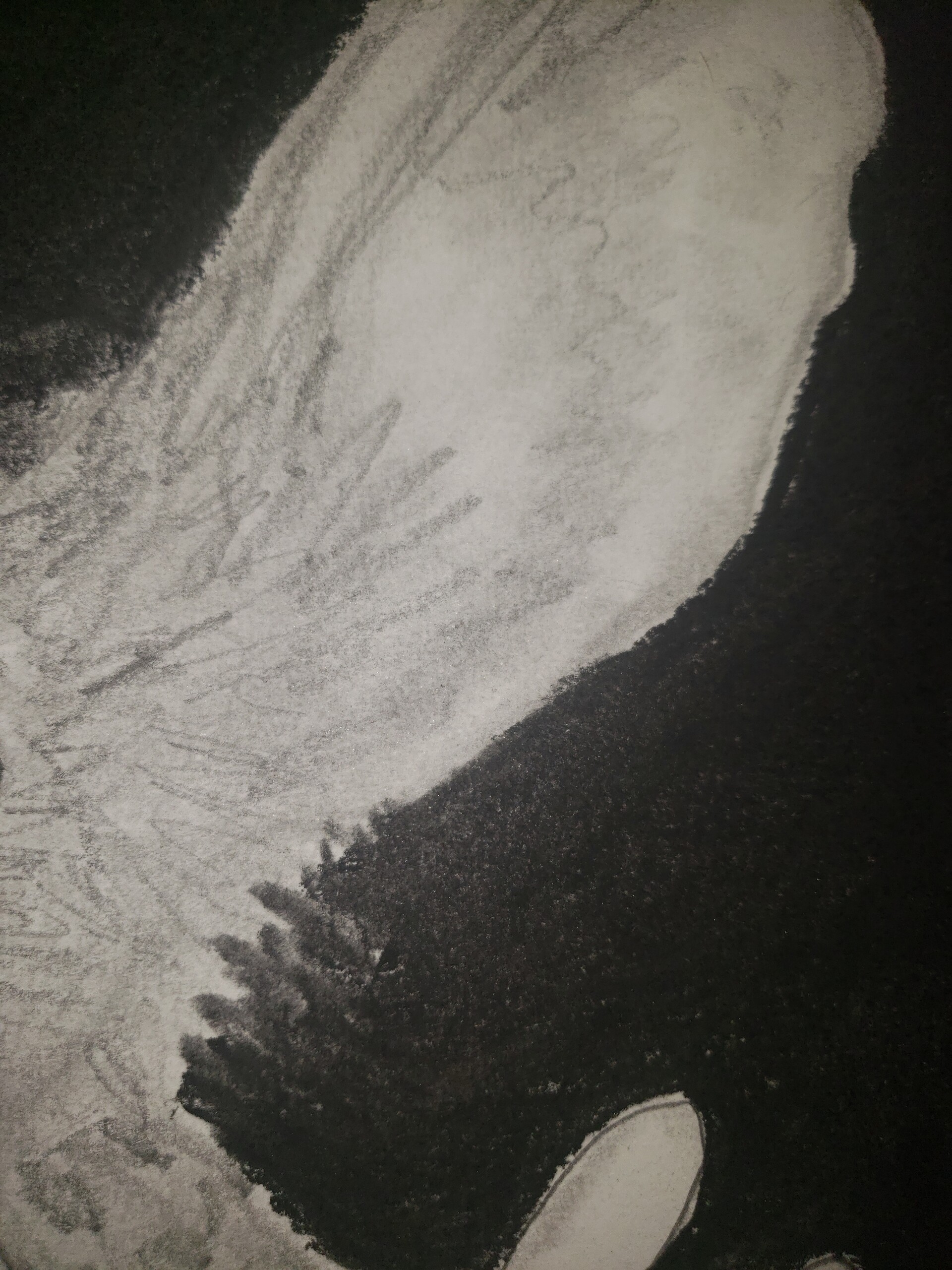 Maximilian Alexander - Gizmo