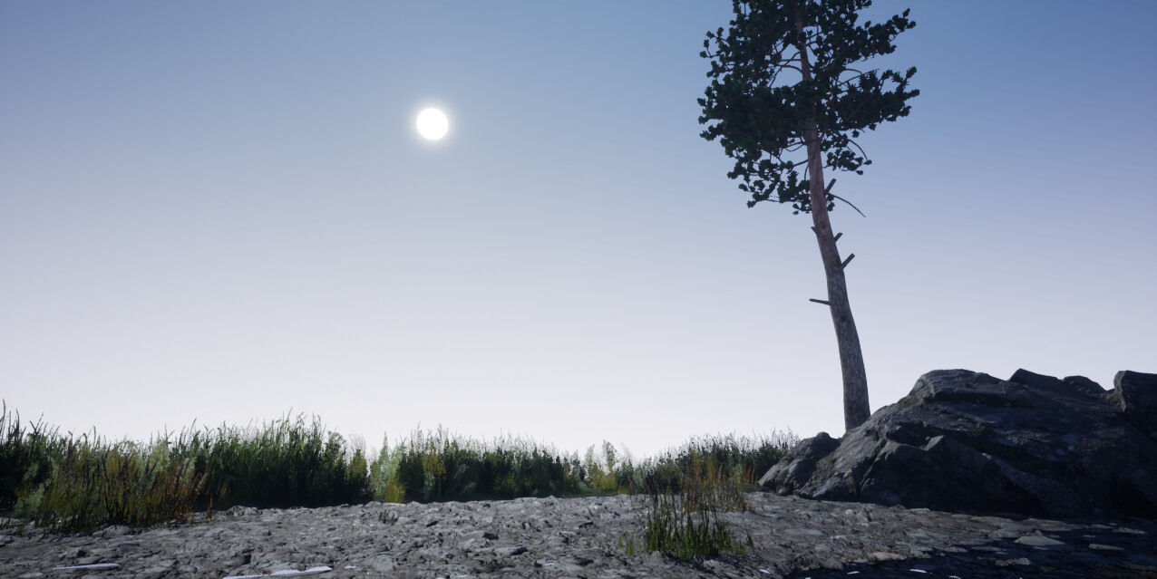 ArtStation - Birch Forest Revision - 1-F (UE)