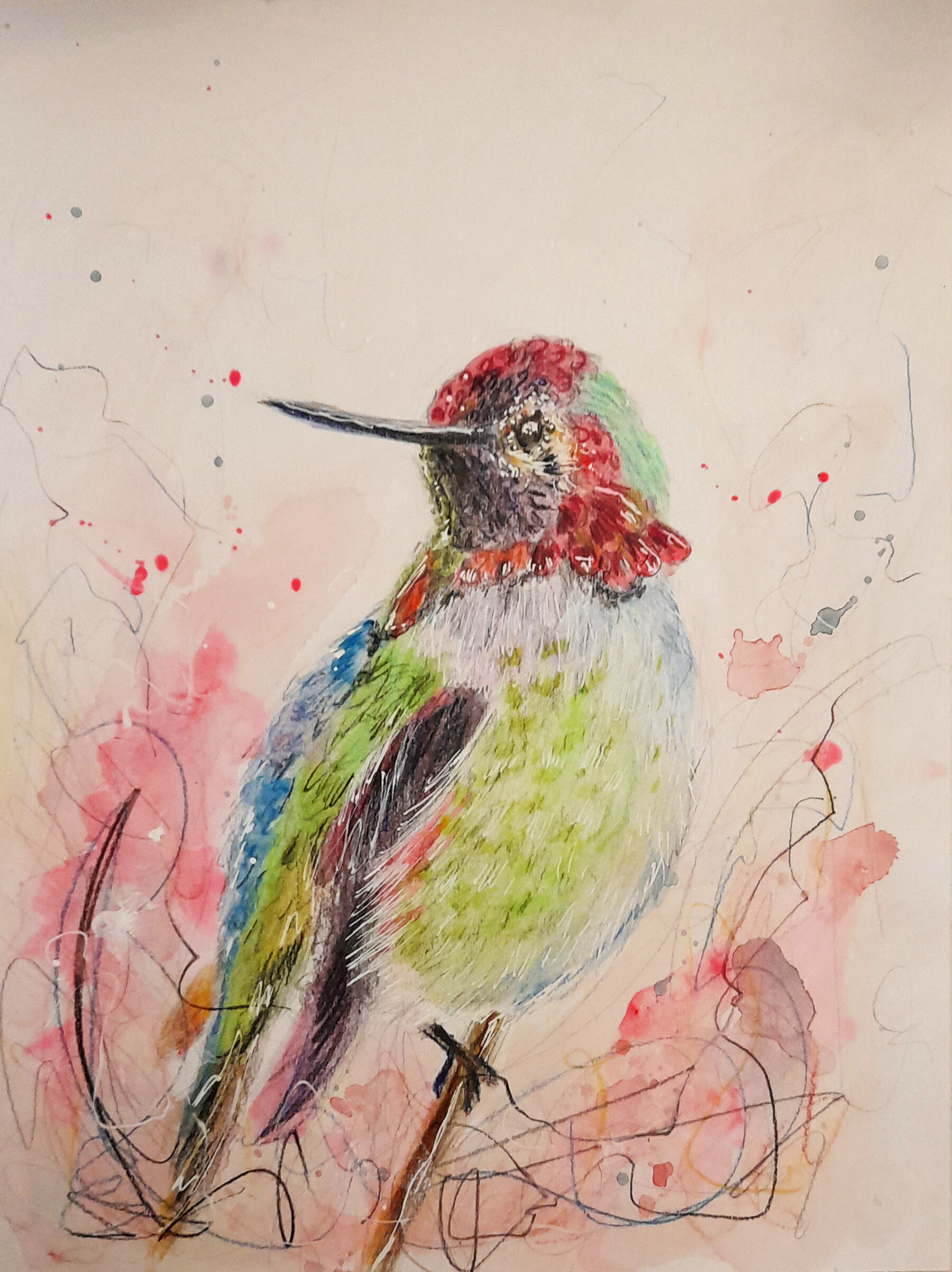 ArtStation - Hummingbird Colorful Sketch