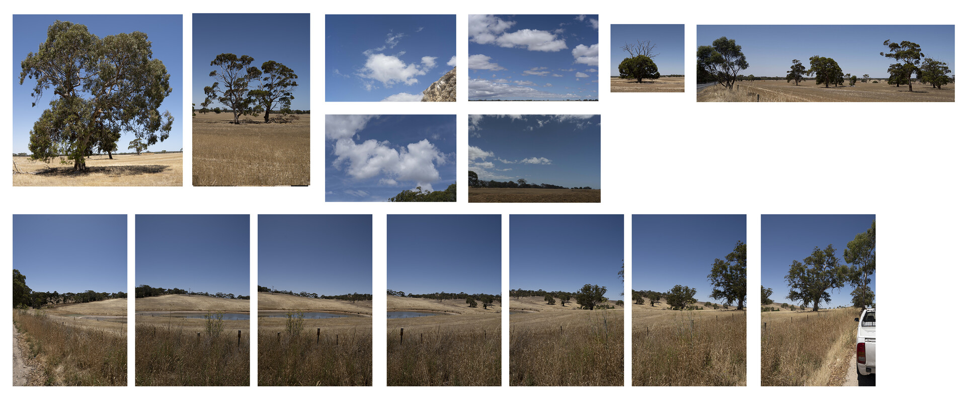 mark trahan - rural pond