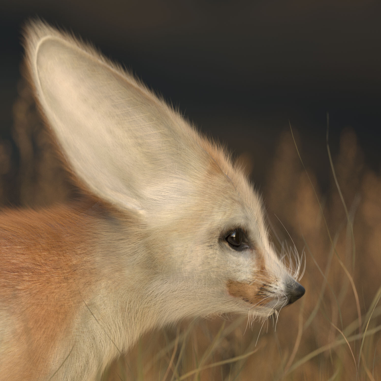 ArtStation - Fennec Fox 3D