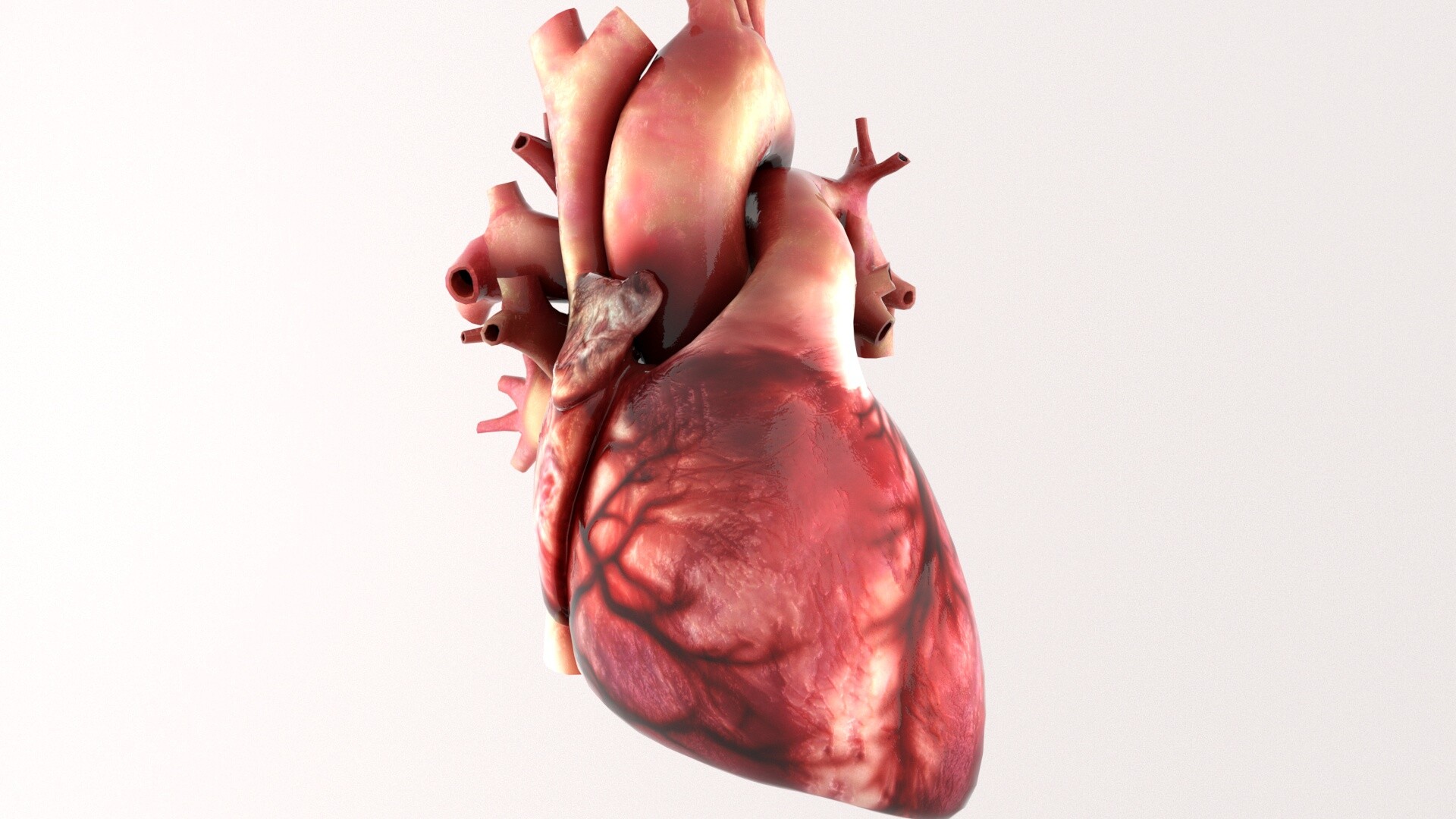 ArtStation - The Human Heart