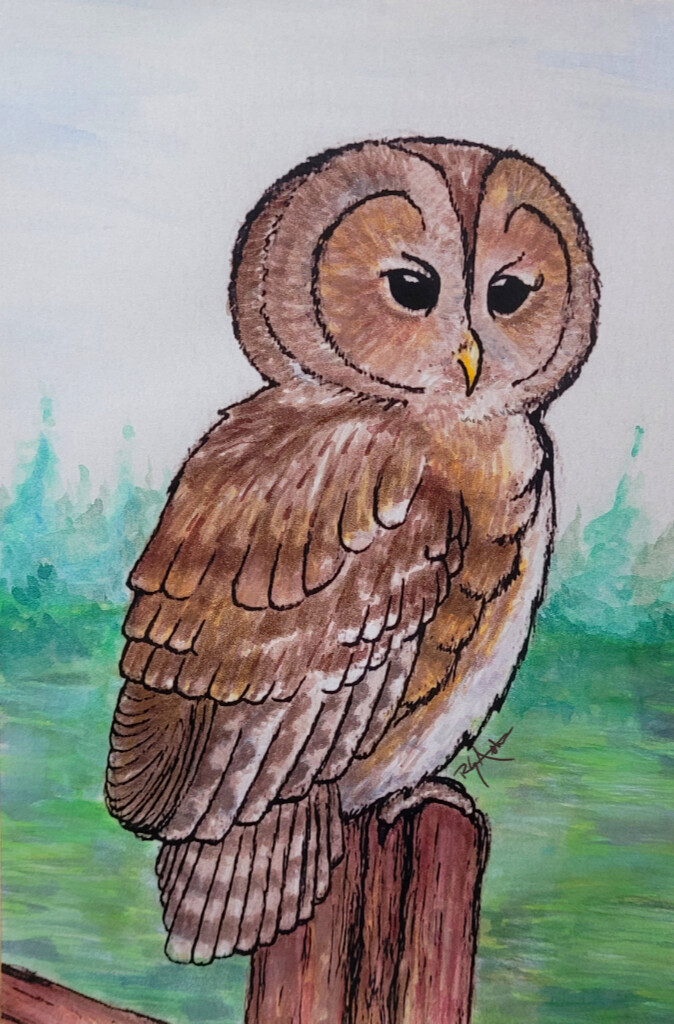 ArtStation - Tawny Owl