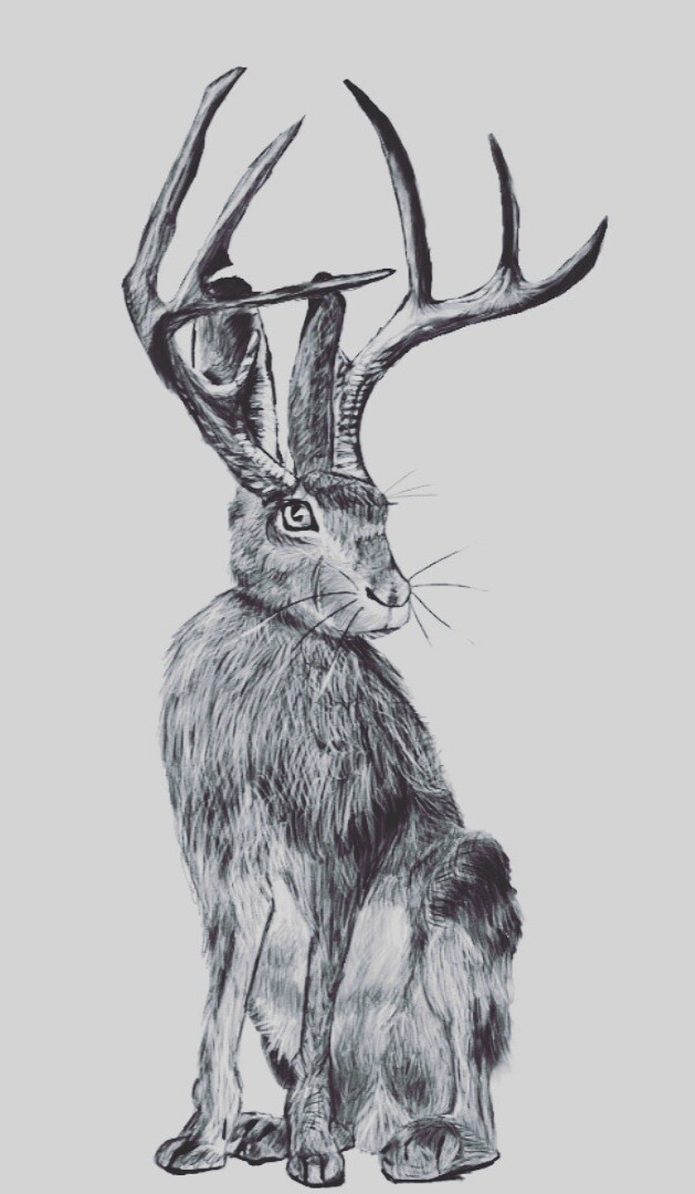 ArtStation - Jackalope