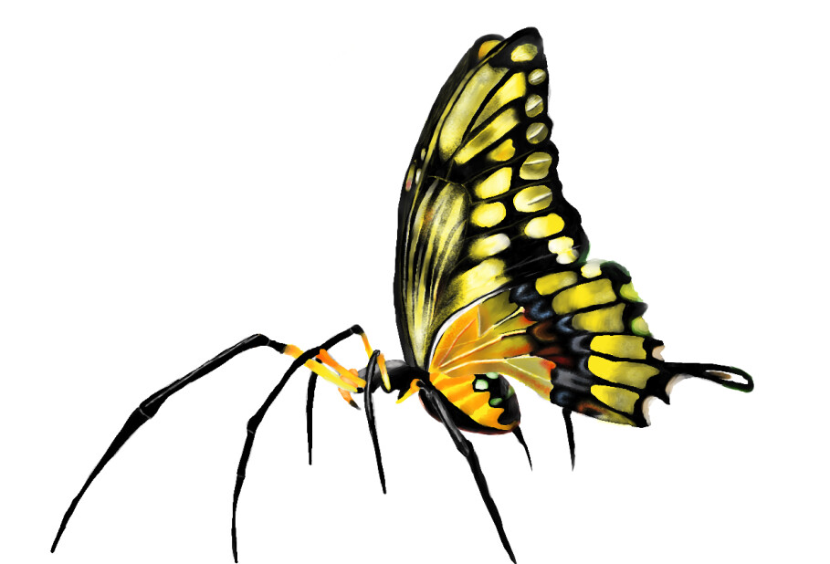 ArtStation - Yellow Spider Butterfly