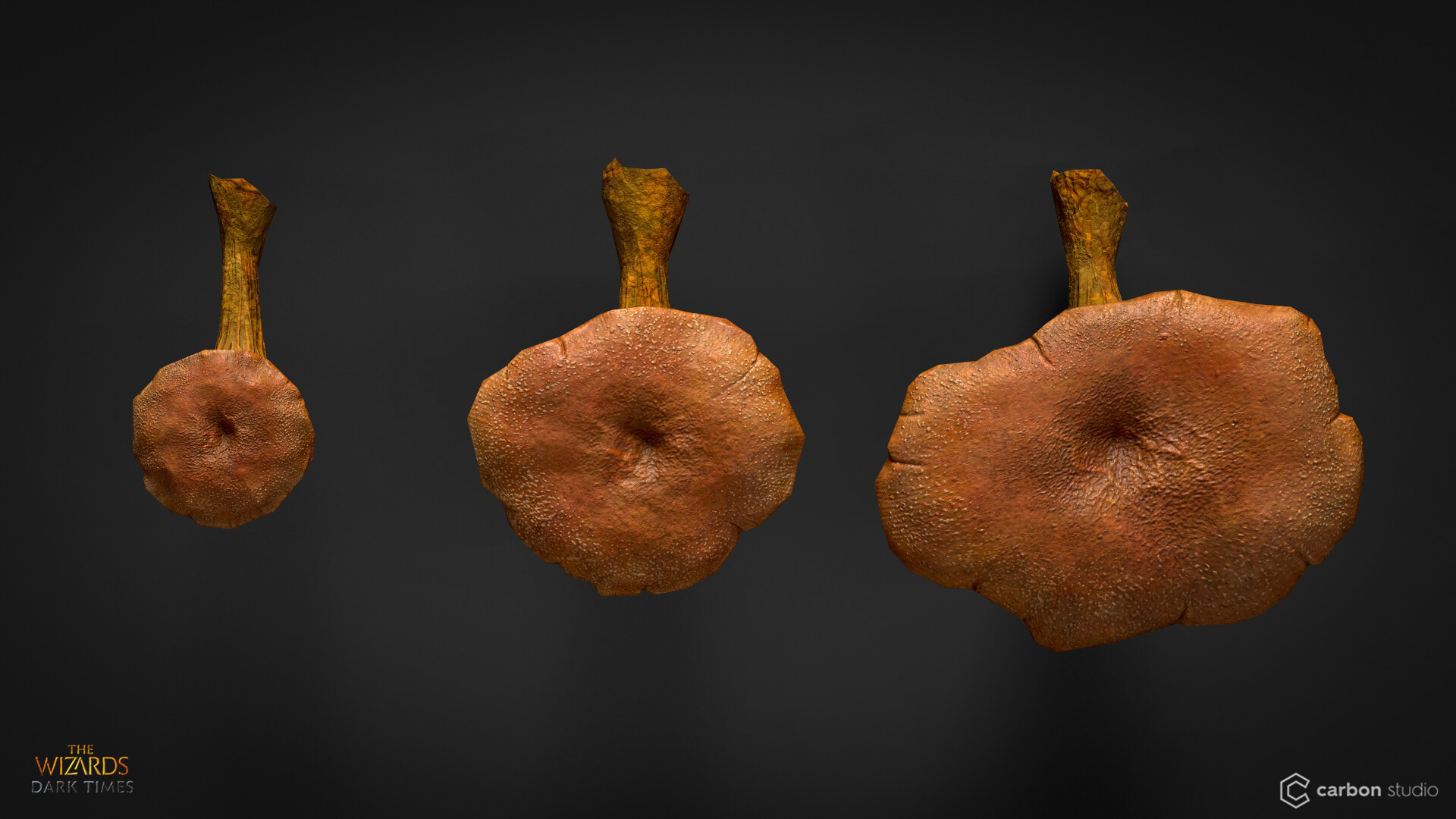 Maja Szyszko - Magic Mushrooms