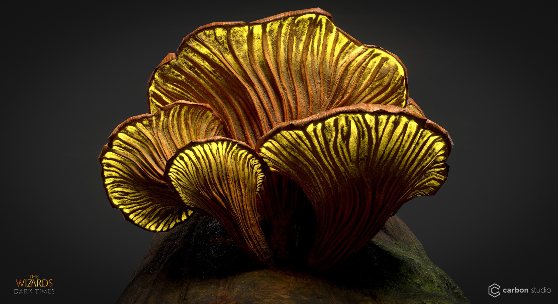 Maja Szyszko - Magic Mushrooms