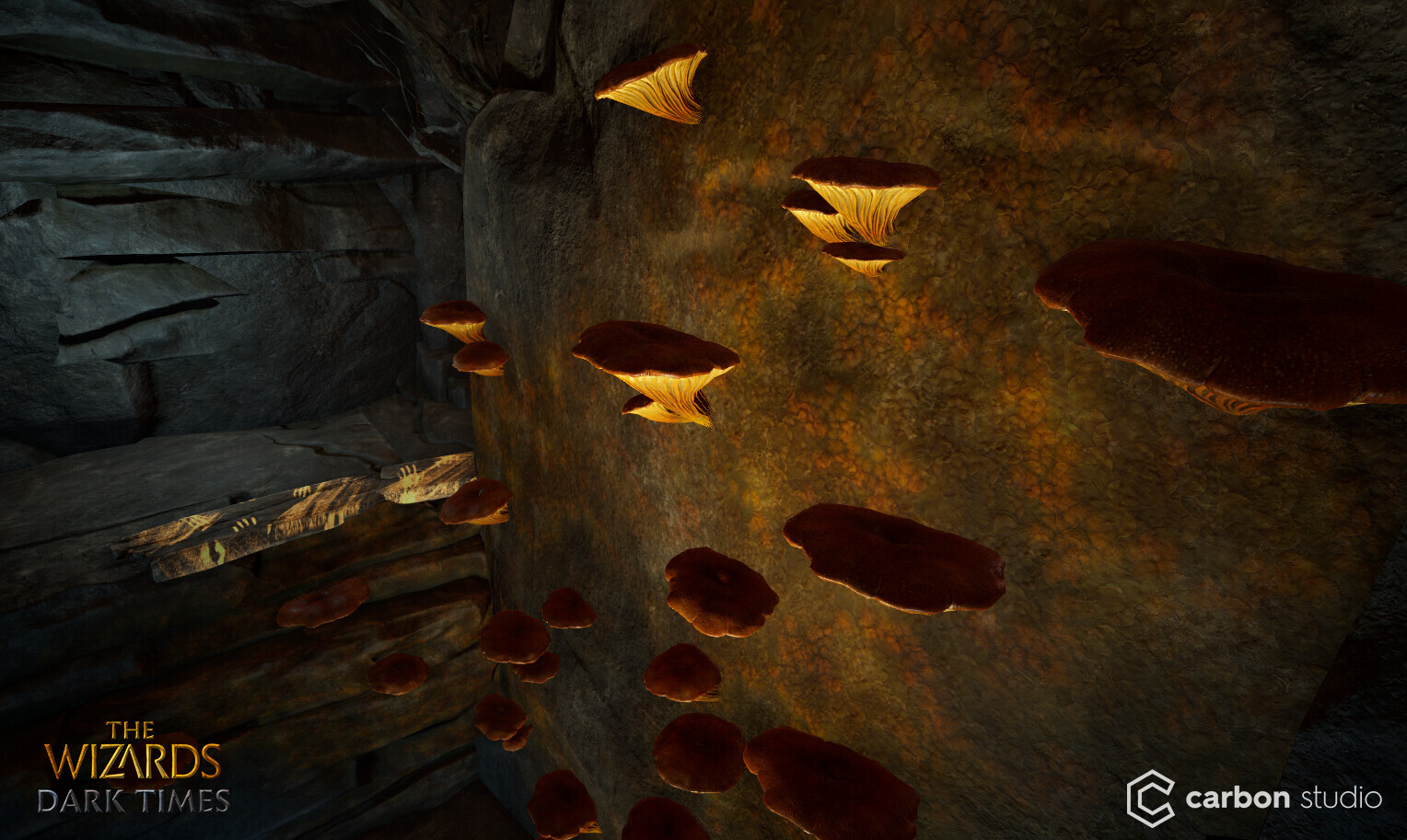 Maja Szyszko - Magic Mushrooms