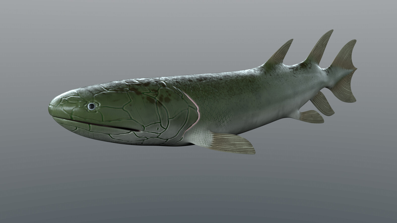 ABOOOH - Aquazoo projection mapping