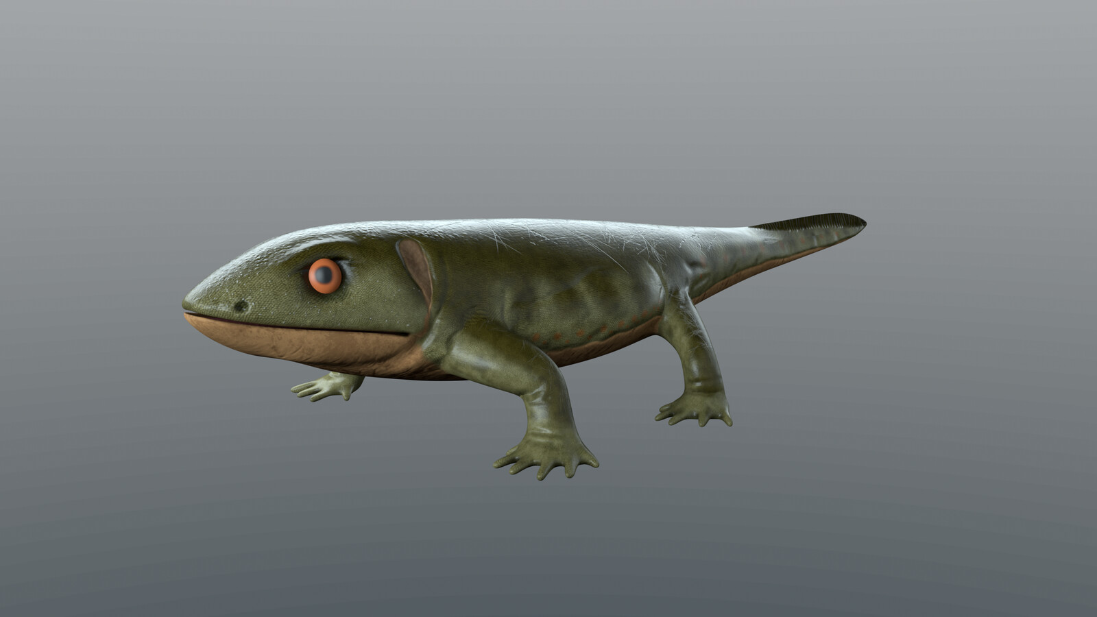 ABOOOH - Aquazoo projection mapping