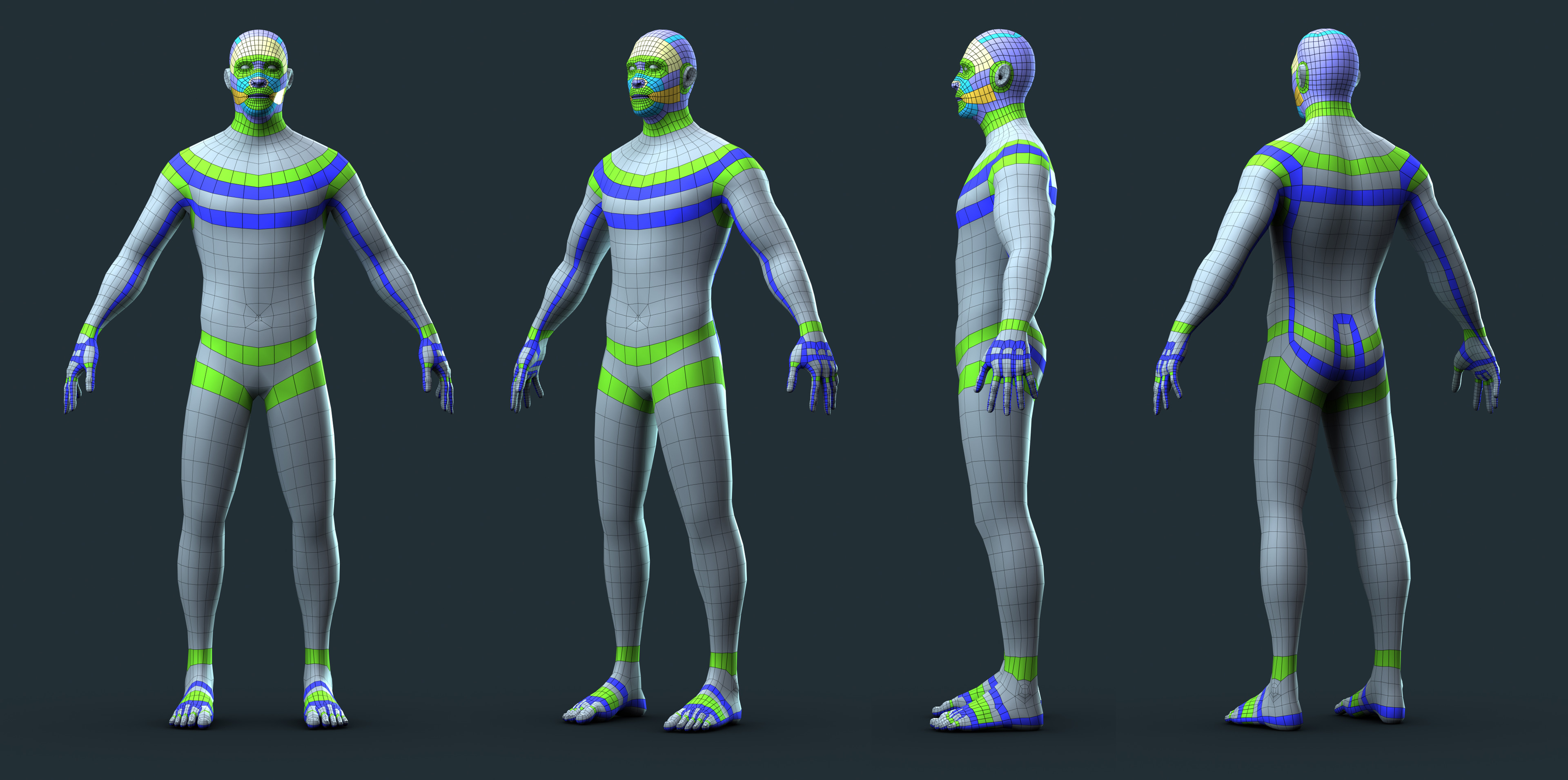 Mercedes Betegon - Man topology
