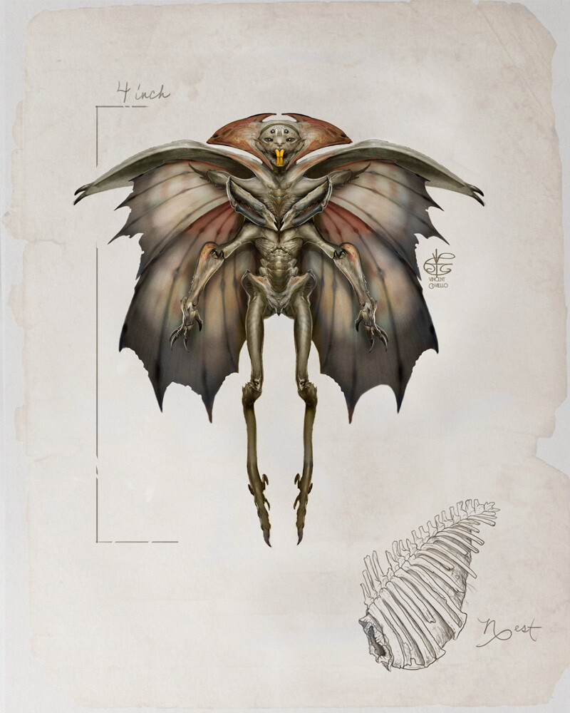 ArtStation - Fairies