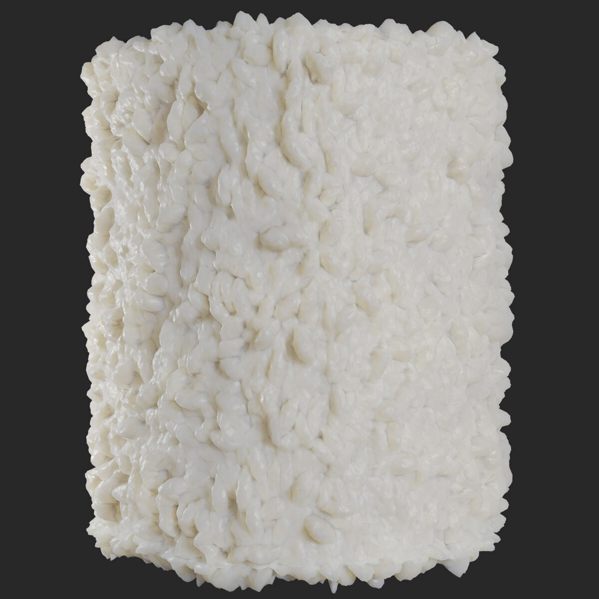 TextureCan - Cooked Rice Texture
