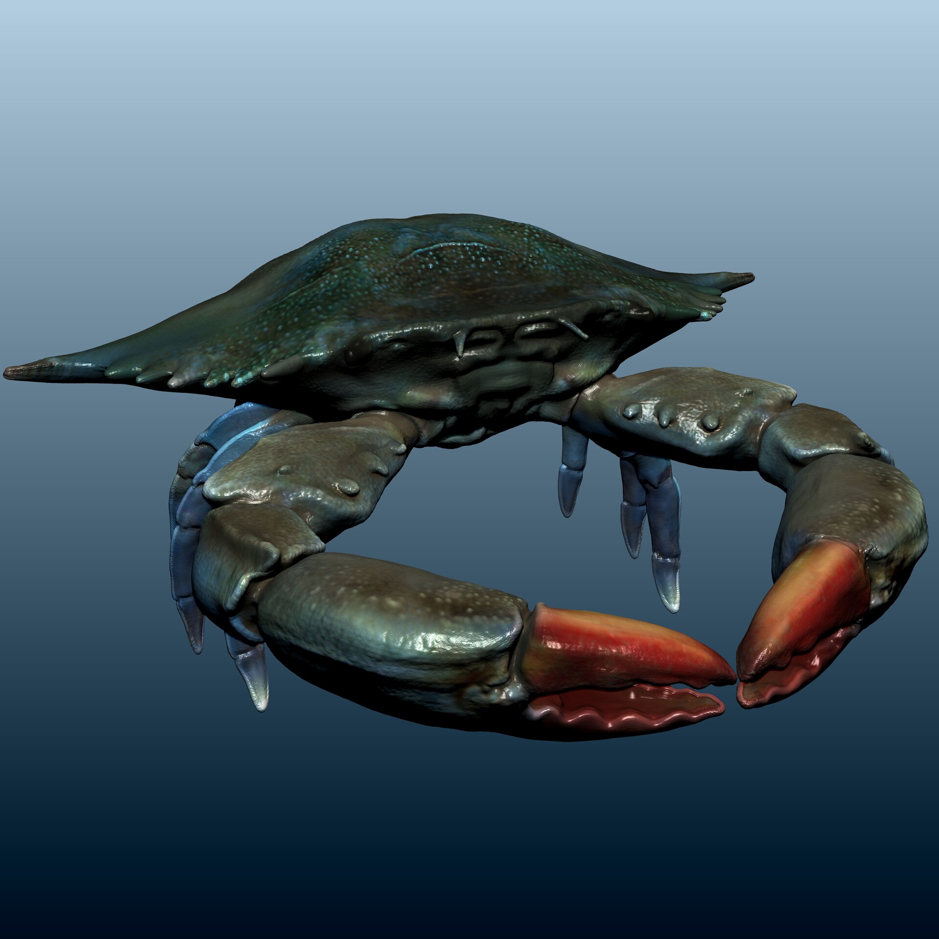 ArtStation - Chesapeake blue crab