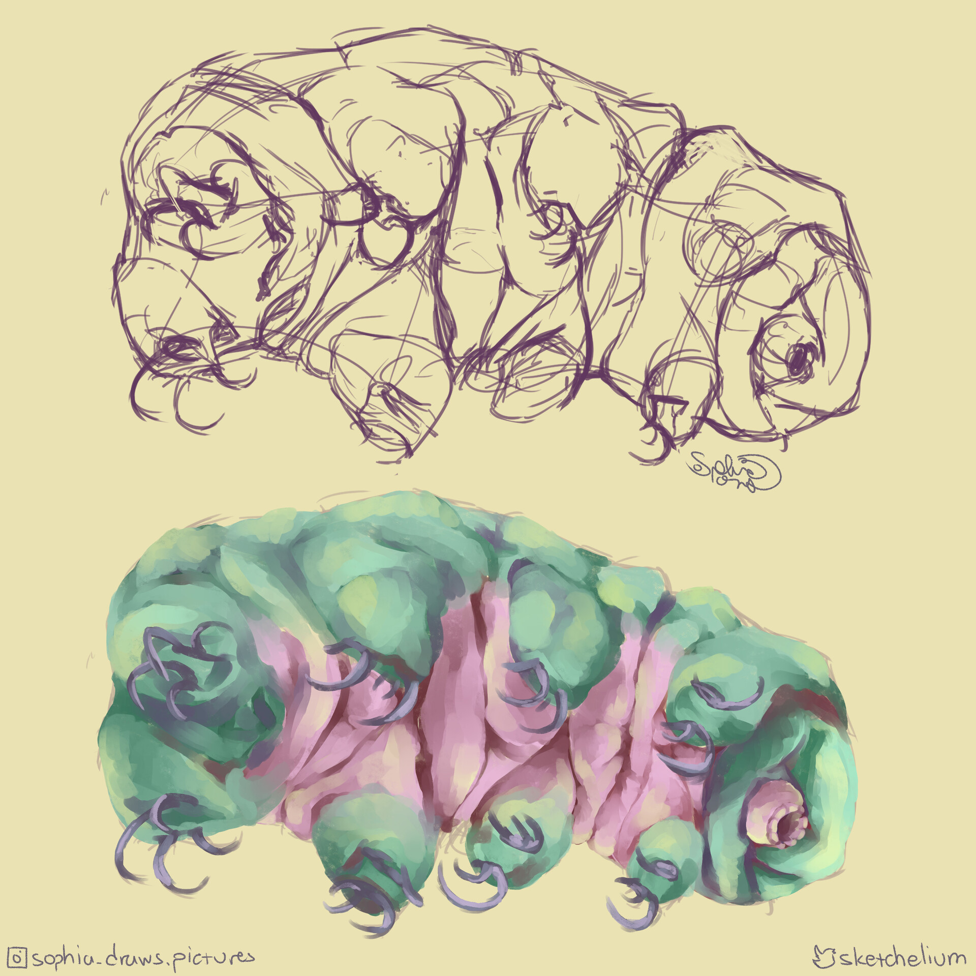 ArtStation - Tardigrade Study