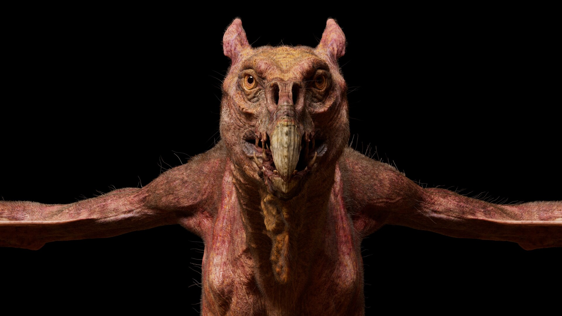 Greg Strangis - Male Griffin for Em & Selma go Griffin Hunting