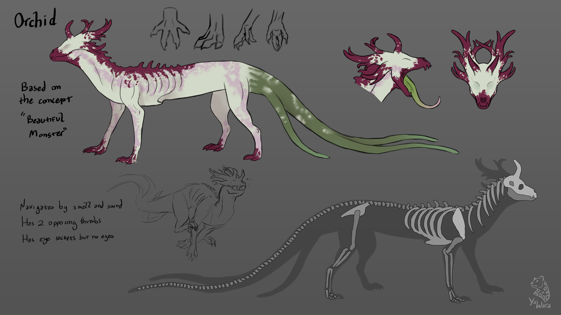 ArtStation - Orchid _ Reference Sheet