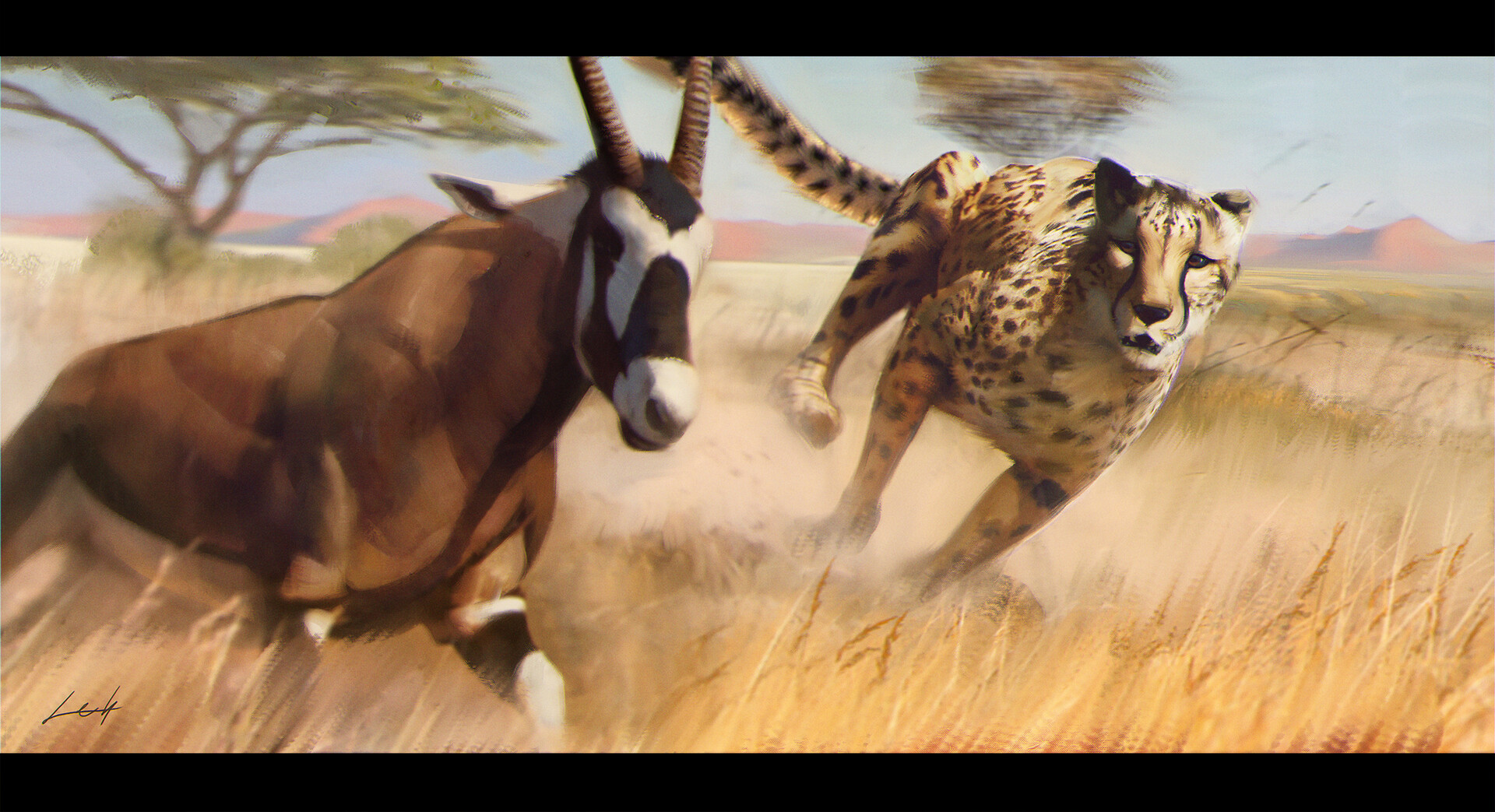 Cheetah Chasing Gazelle Drawing