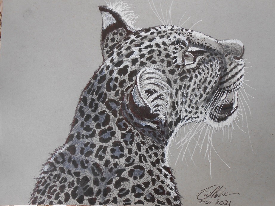 ArtStation - Inktober 2021 - Leopard #2
