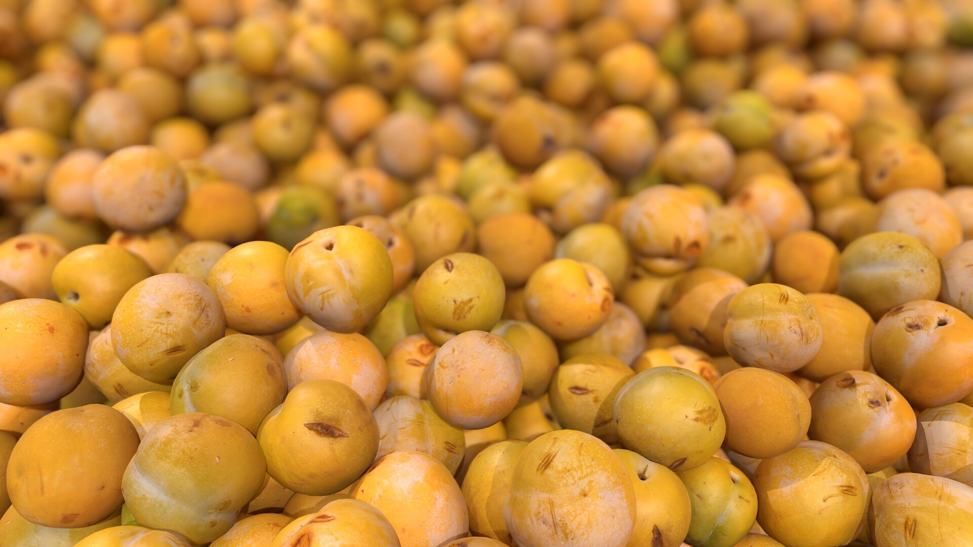 ArtStation - 3D Scanned Mirabelle