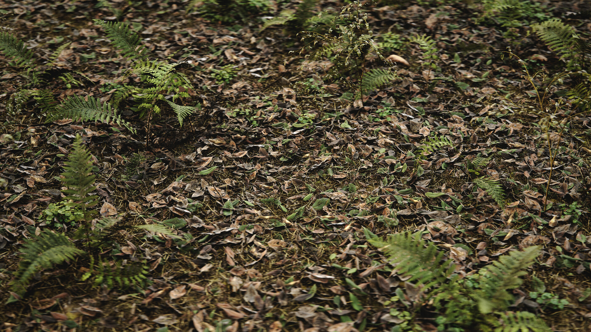 ArtStation - Ground Cover