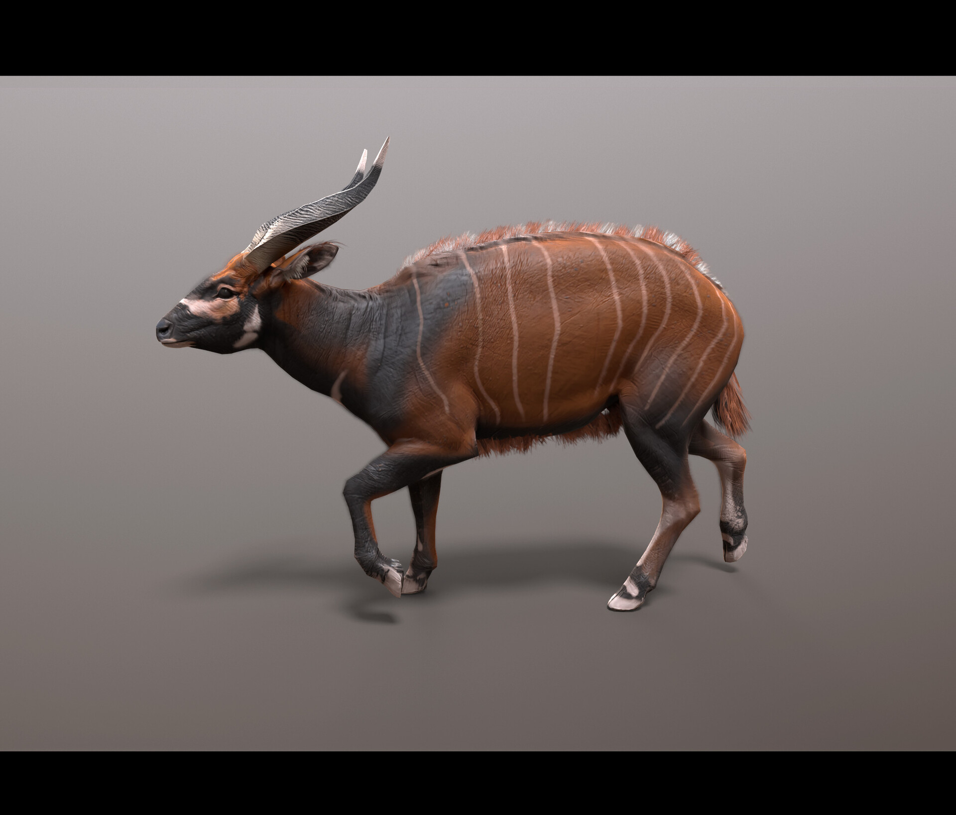 Tyler Smith - Bongo Antelope and Baby Study