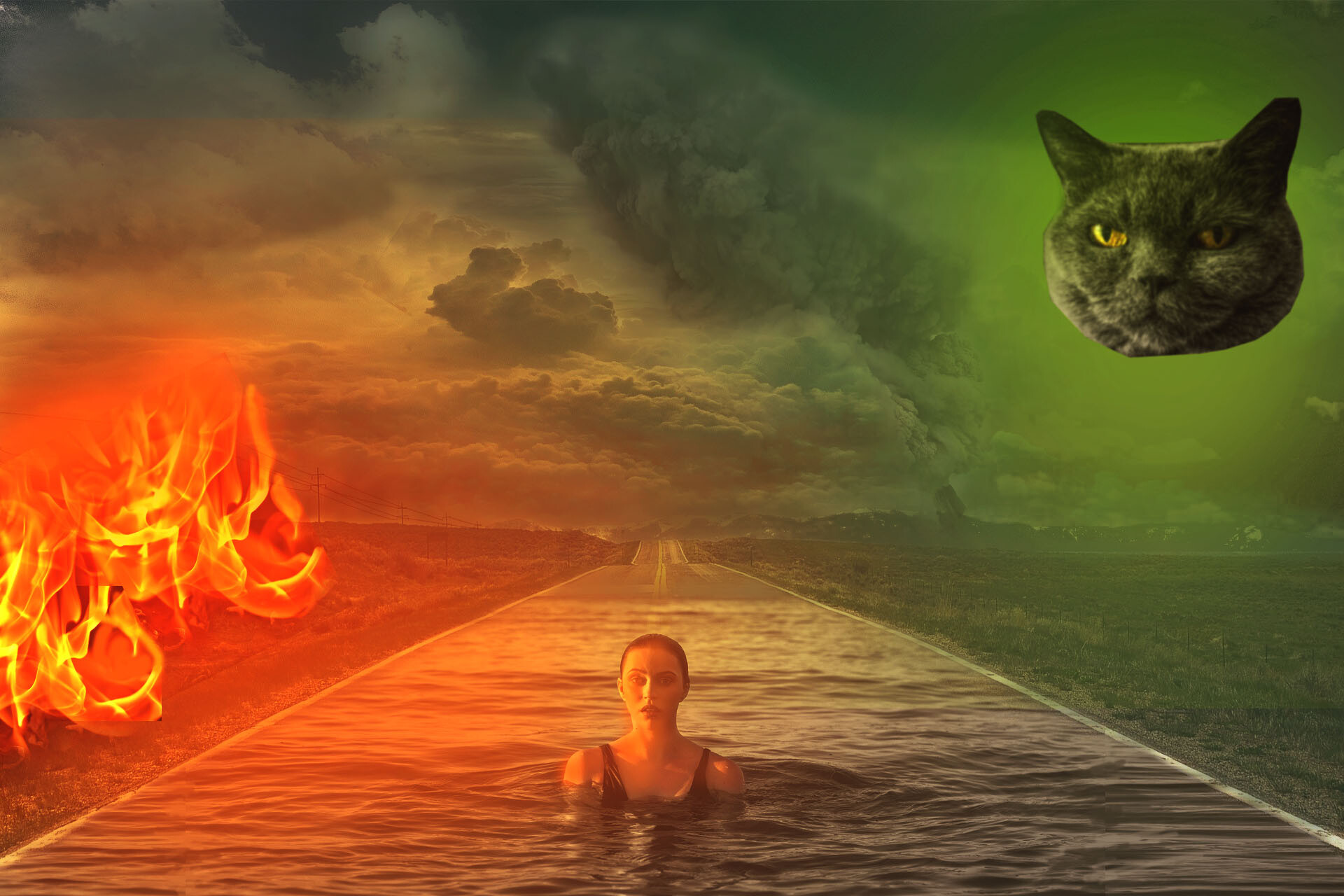 ArtStation - Jane in the wonderland