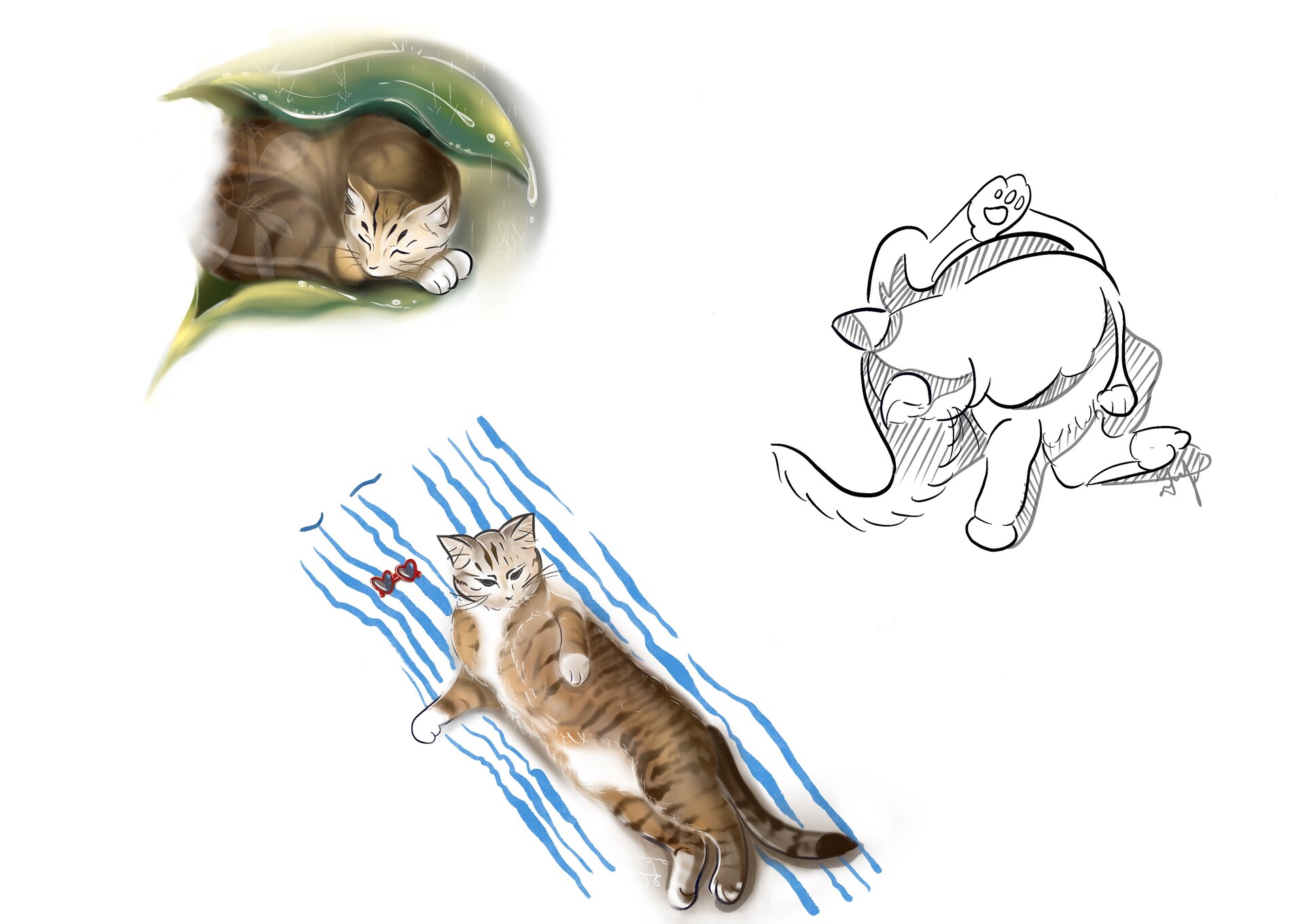 ArtStation - Cat study 1