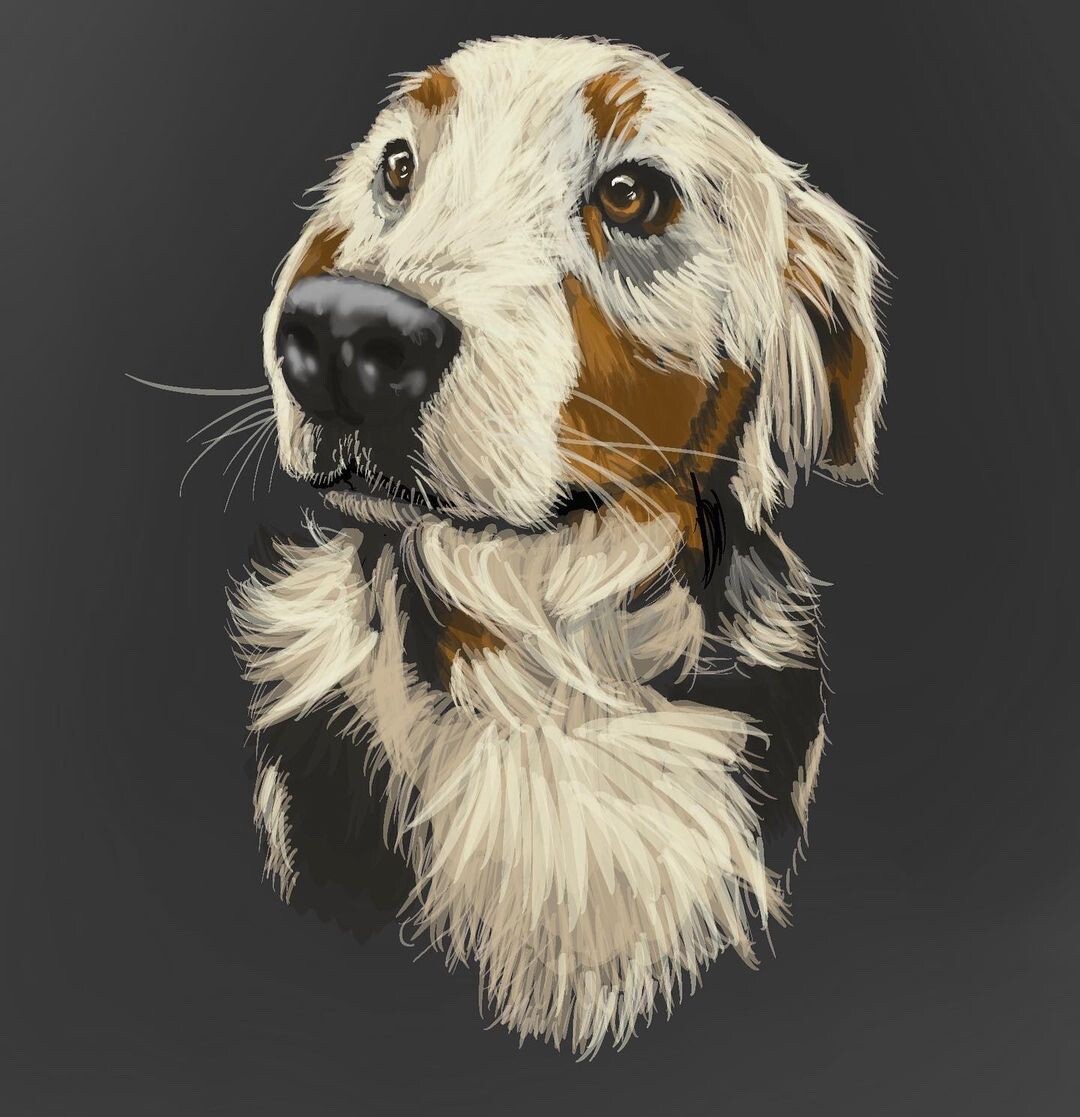 ArtStation - Dogs