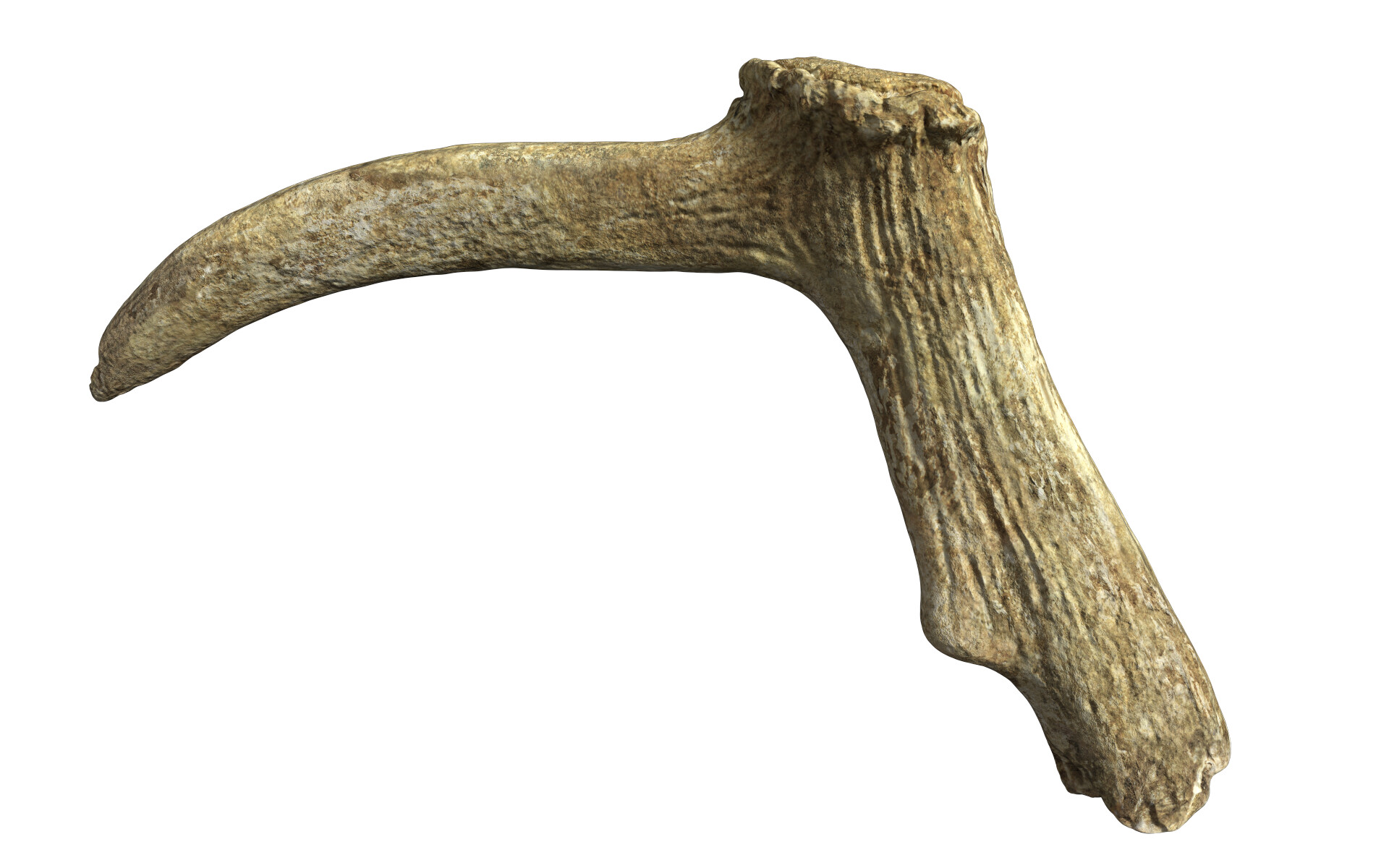 ArtStation - Antler Axe Reconstruction