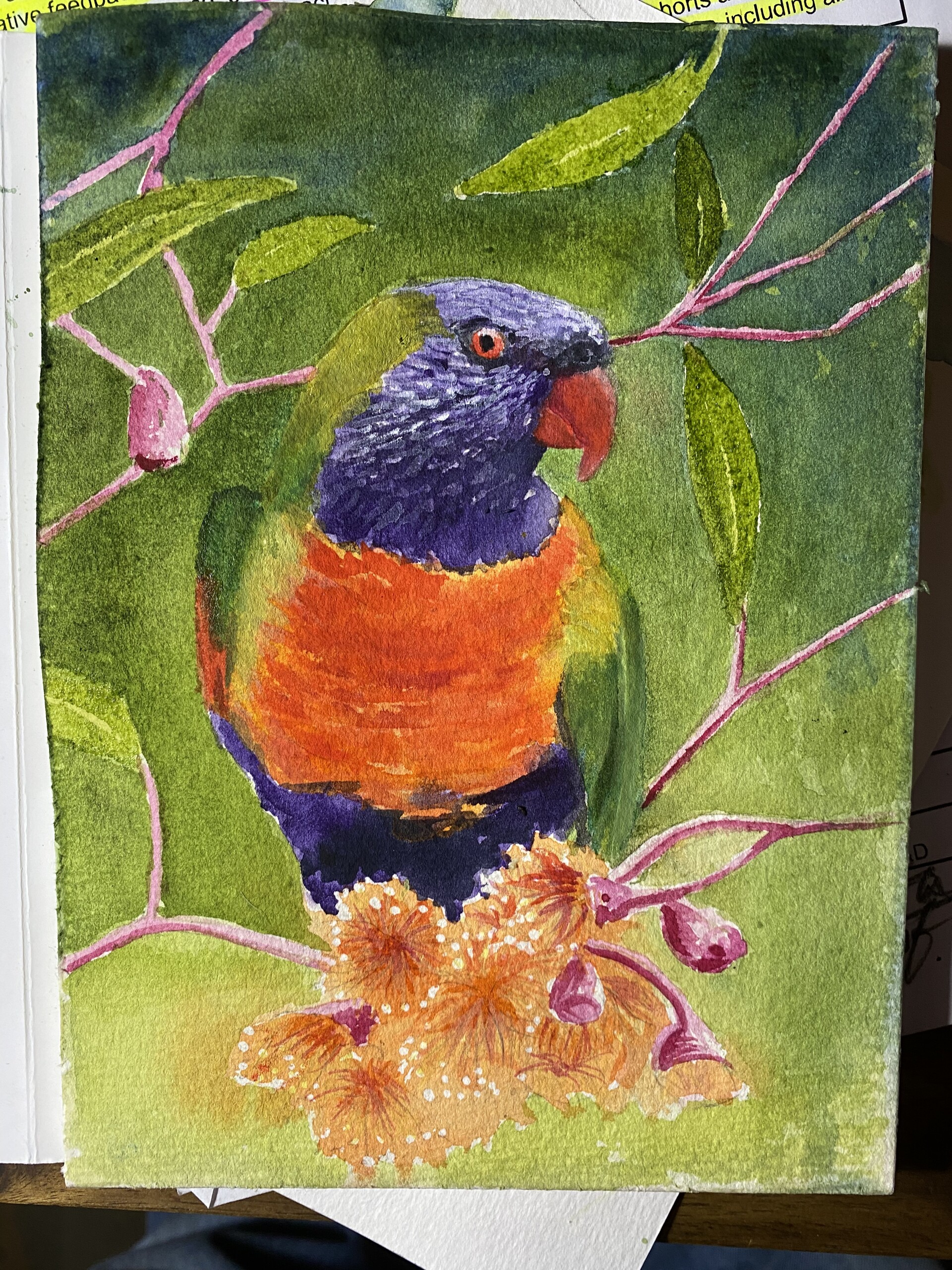 ArtStation - Rainbow Lorikeet