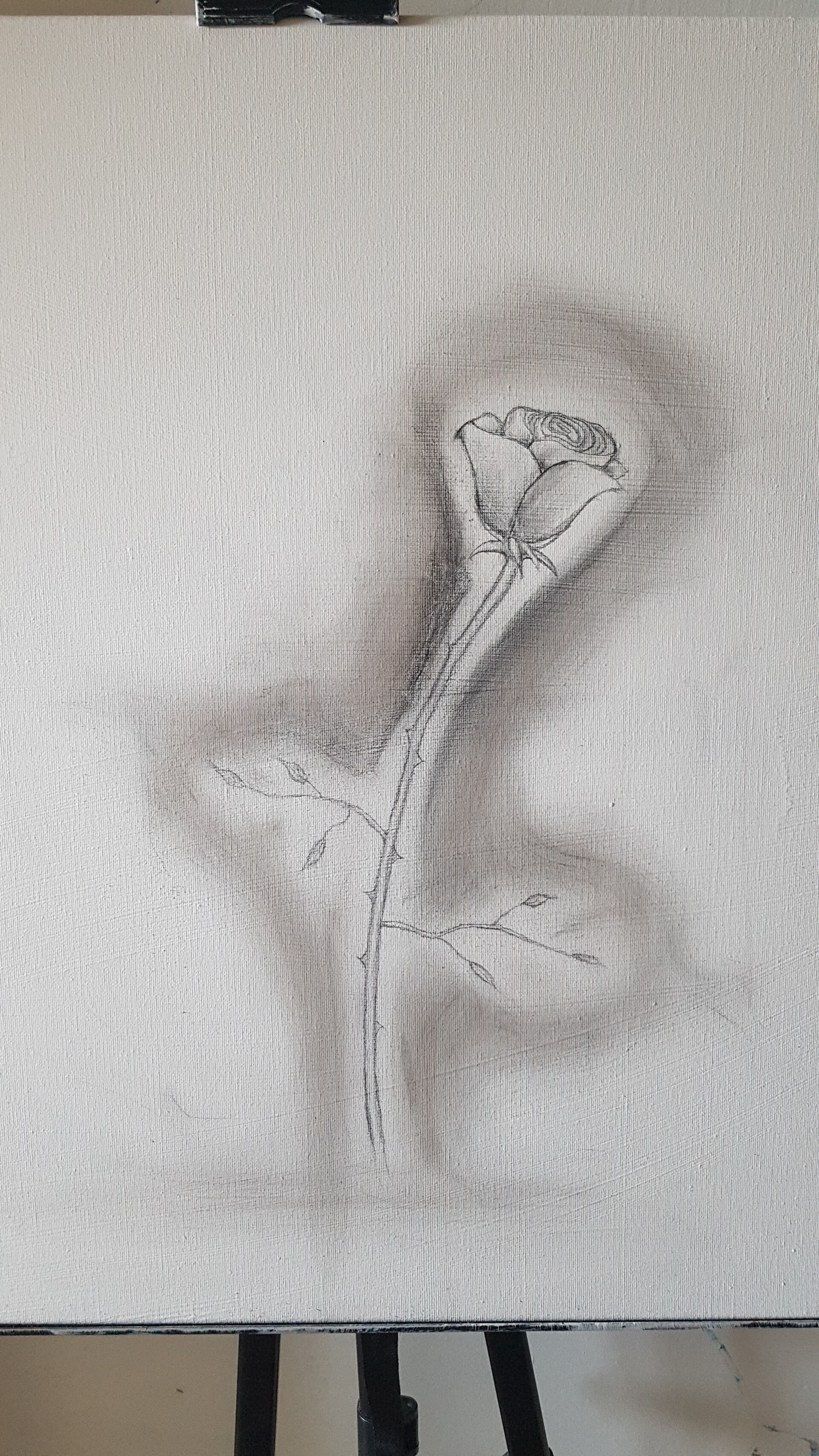 ArtStation - A Broken Rose