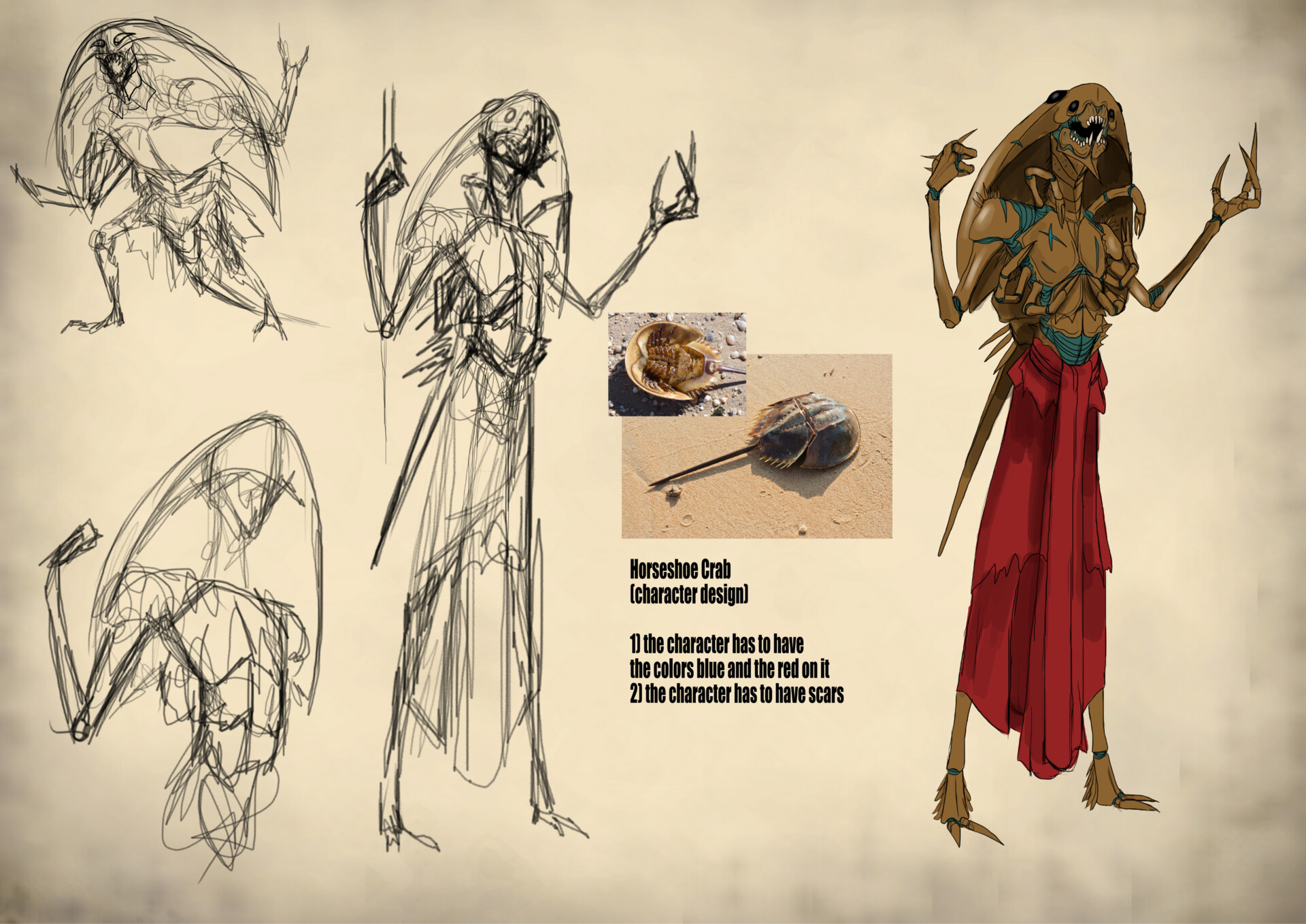 anthro horseshoe crab