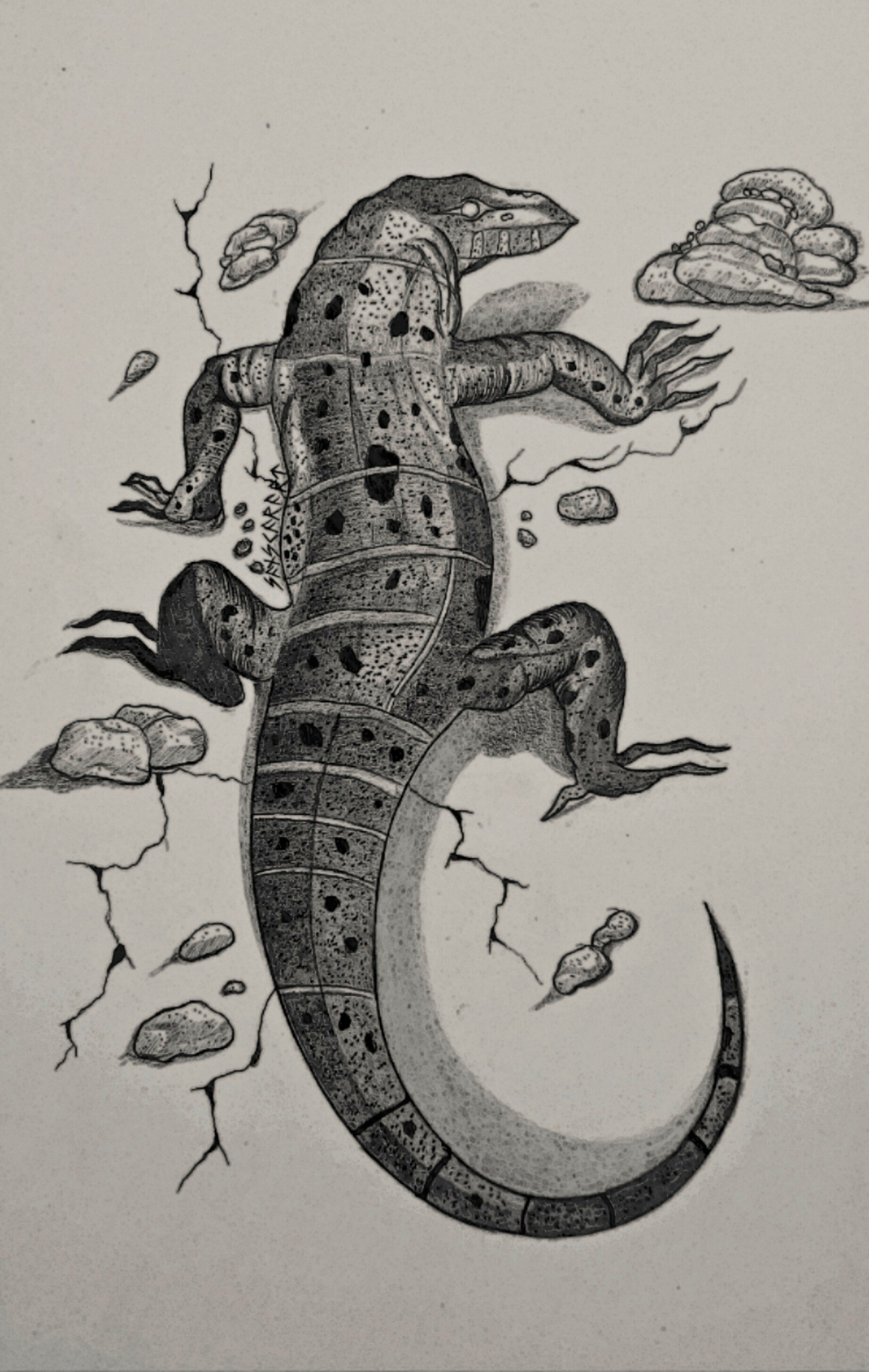 ArtStation - Creature concept art