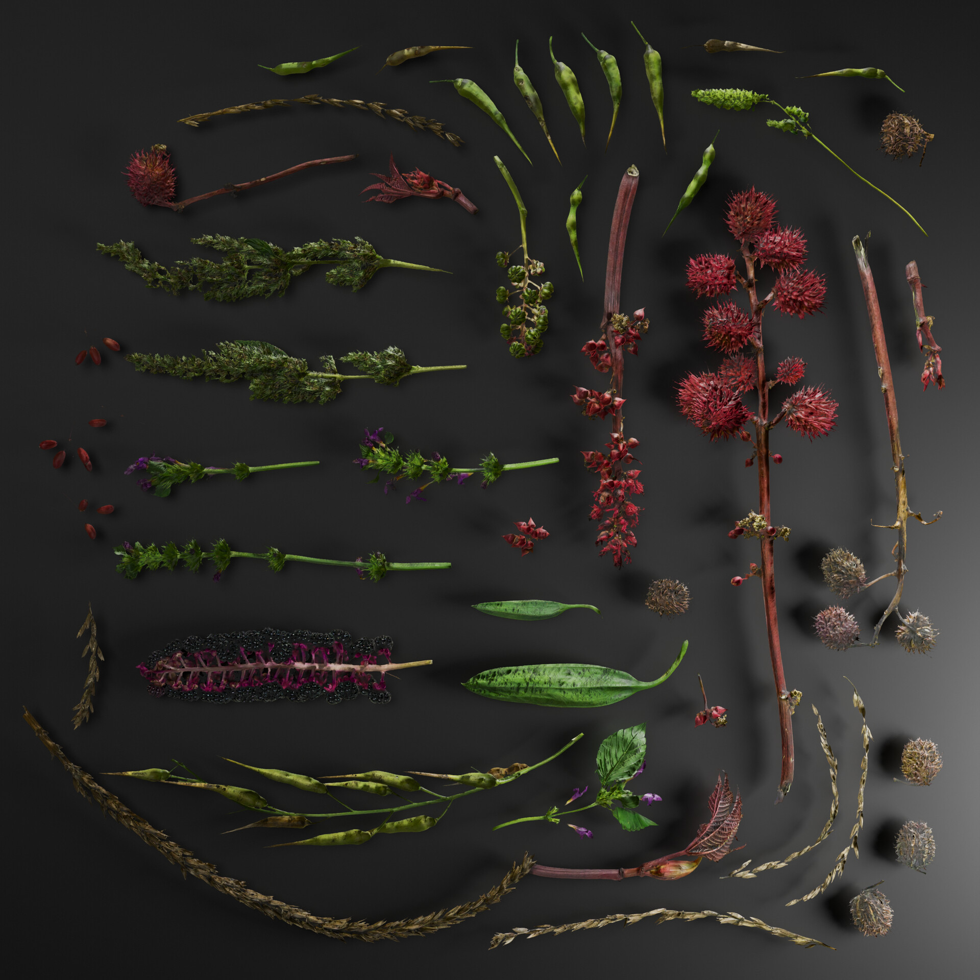 ArtStation - Different seeds Atlas 4k/16bit