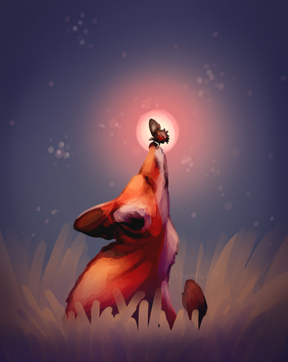 ArtStation - Fox study