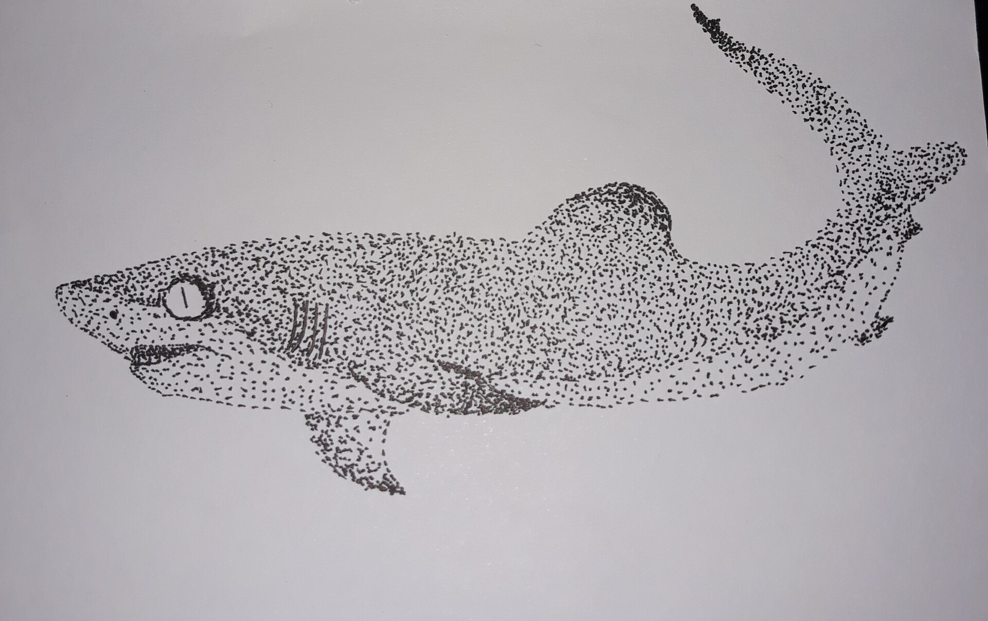 ArtStation - Dot Shark