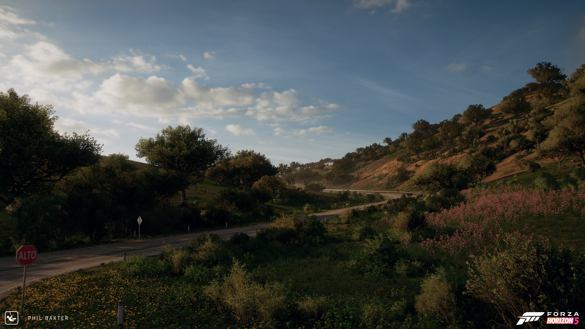 Phil Baxter - Forza Horizon 5