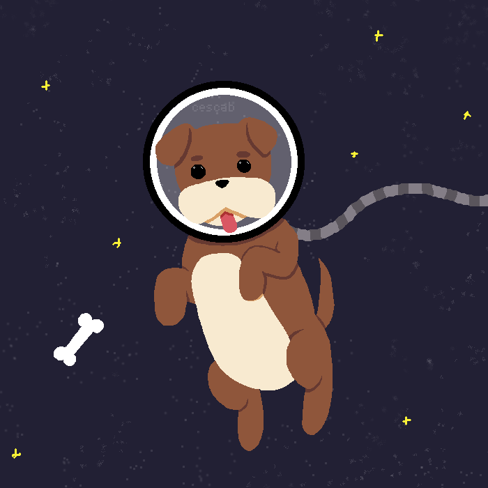 Space Doge Gif