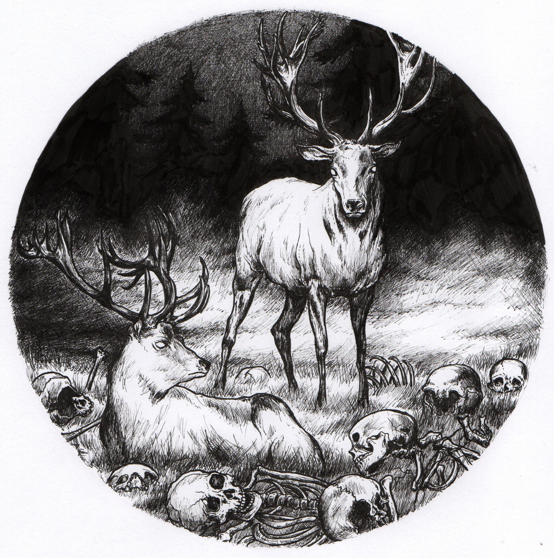 ArtStation - Cervidae