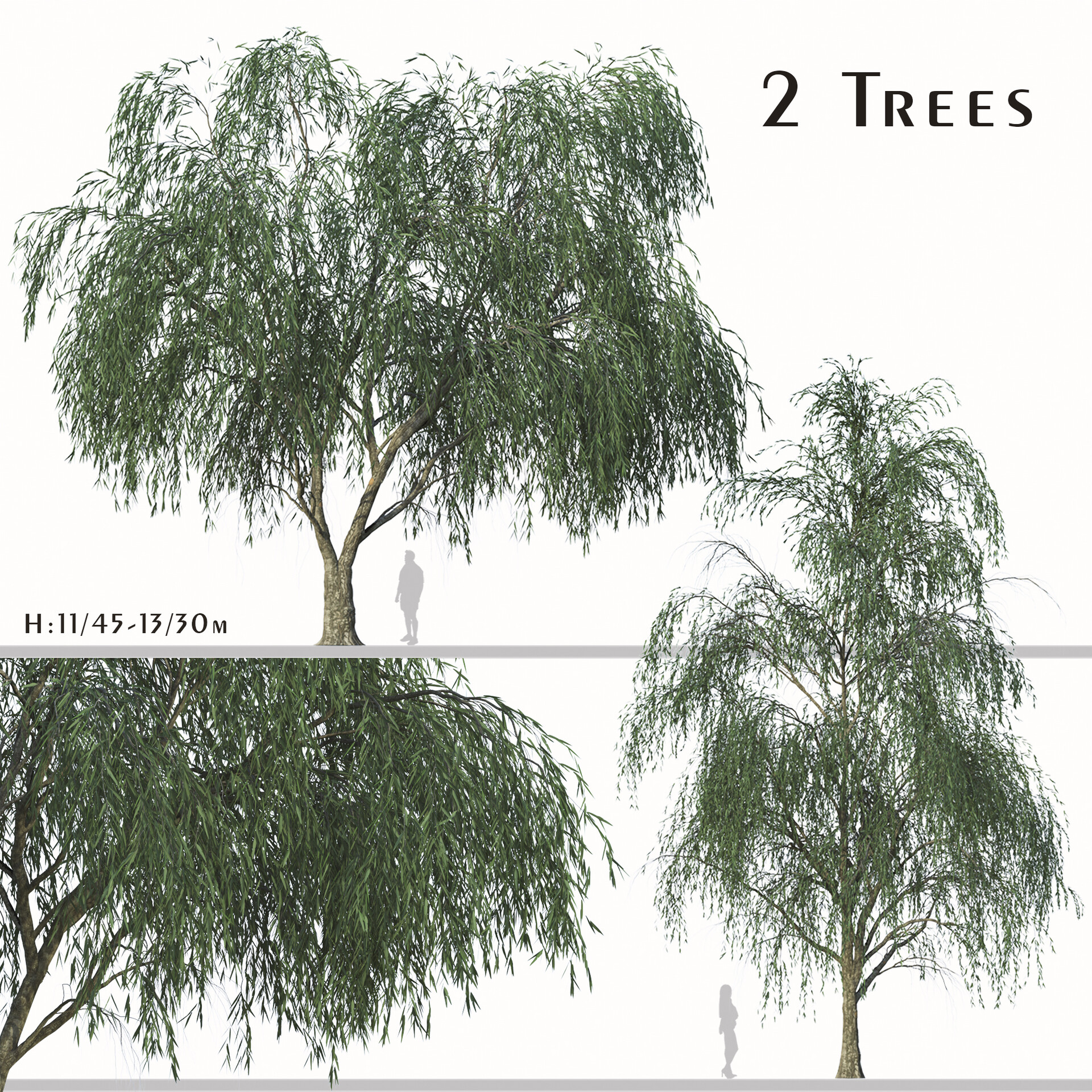 Acacia Trees Set
