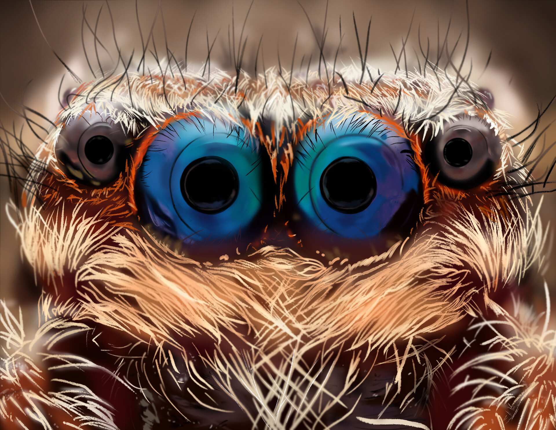 ArtStation - Spider Illustration