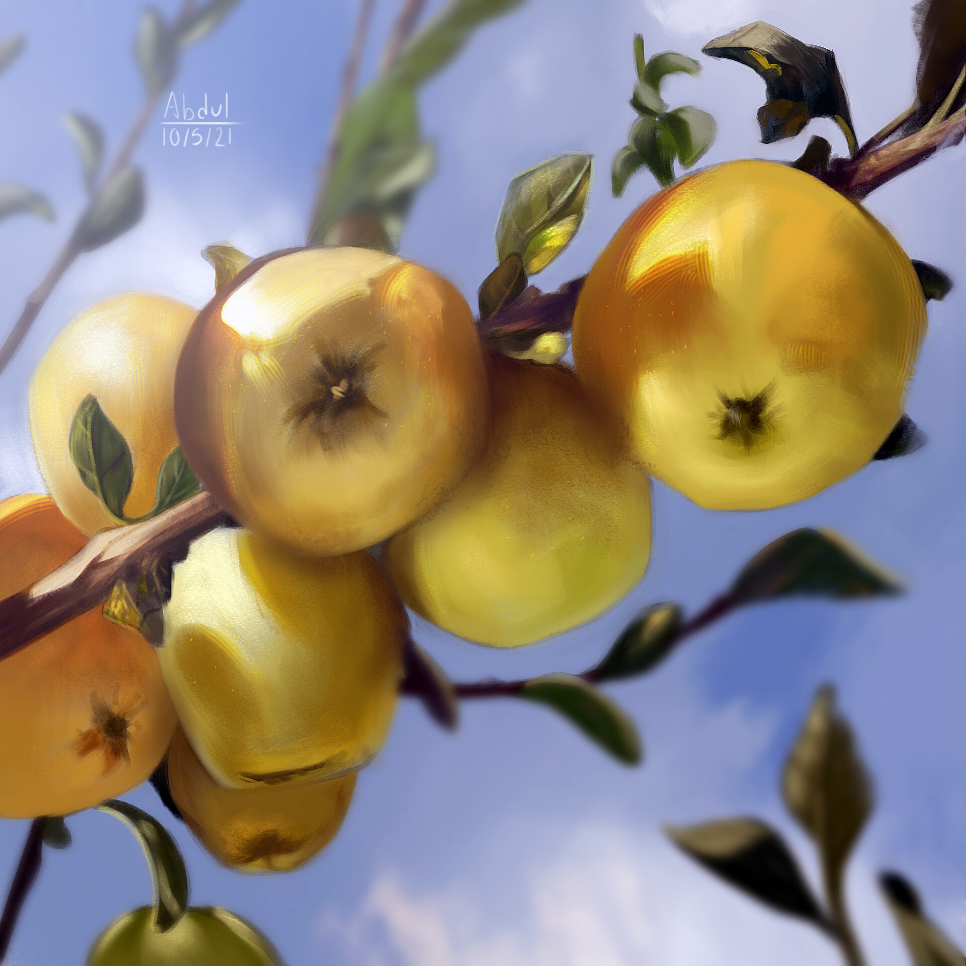 ArtStation - Apple Study