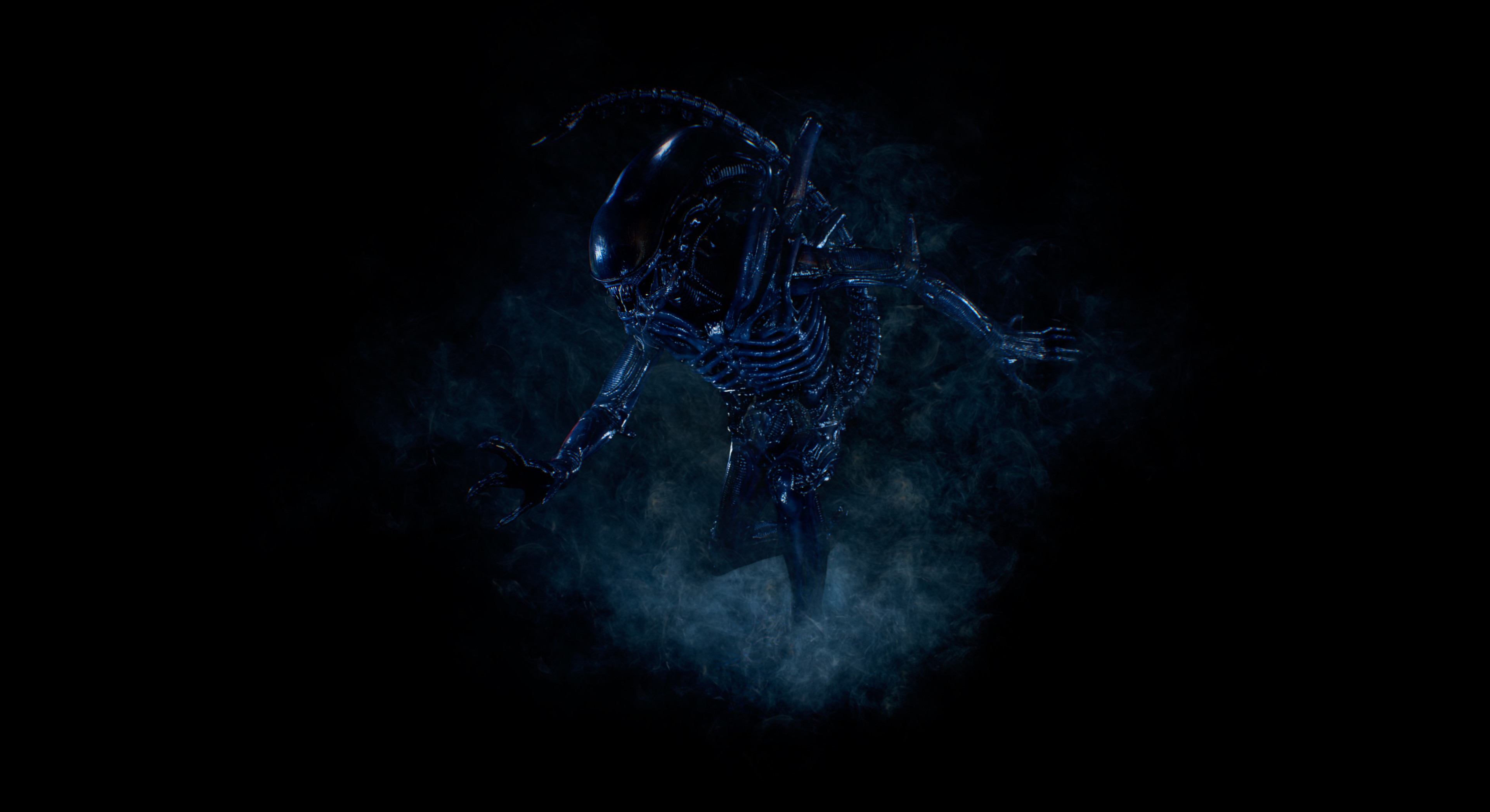 Alex Pointer - Xenomorph