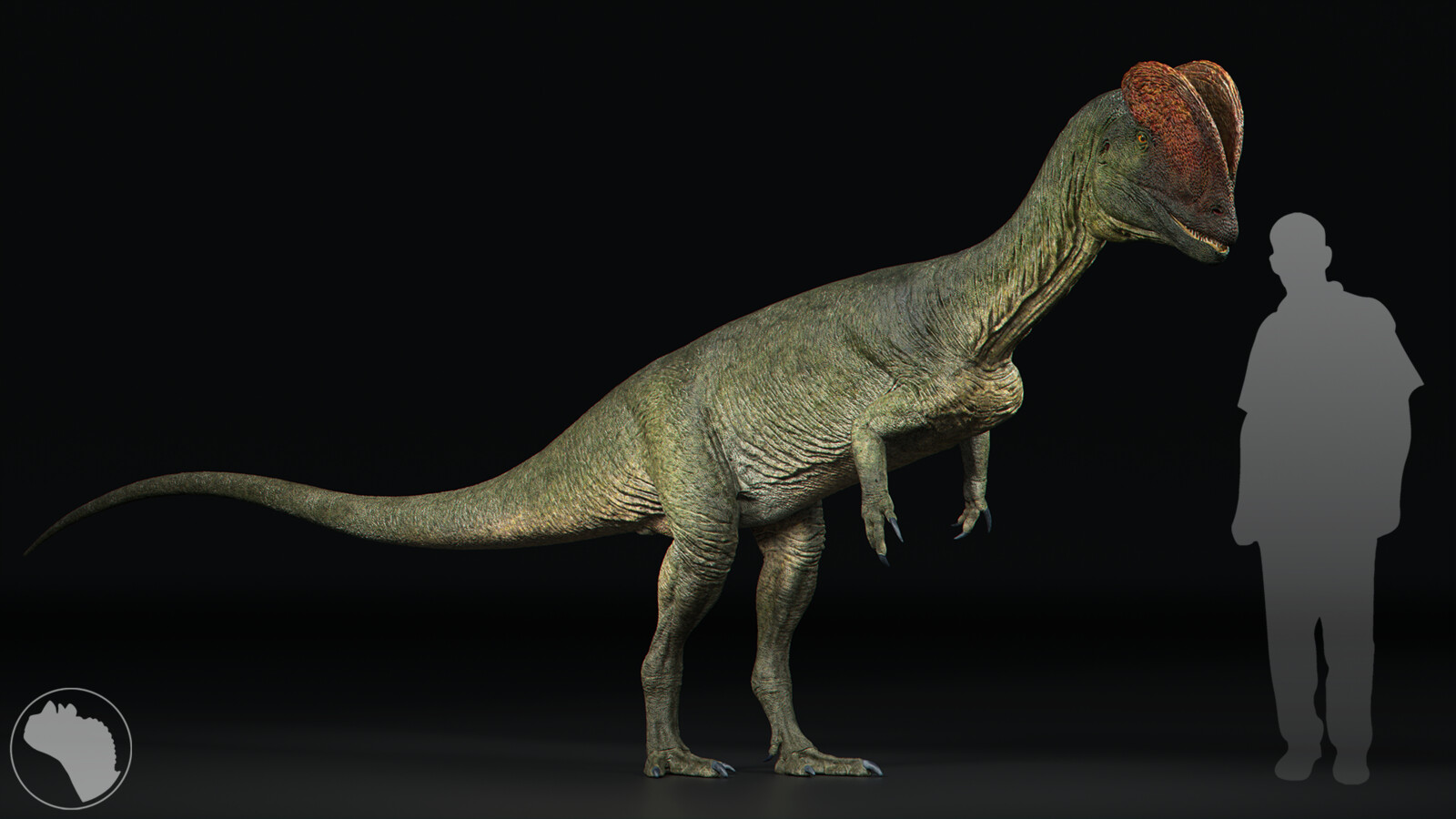 Jonathan Harris - Dilophosaurus wetherilli