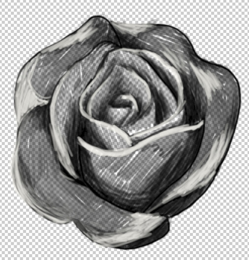 ArtStation - Rose Sketch